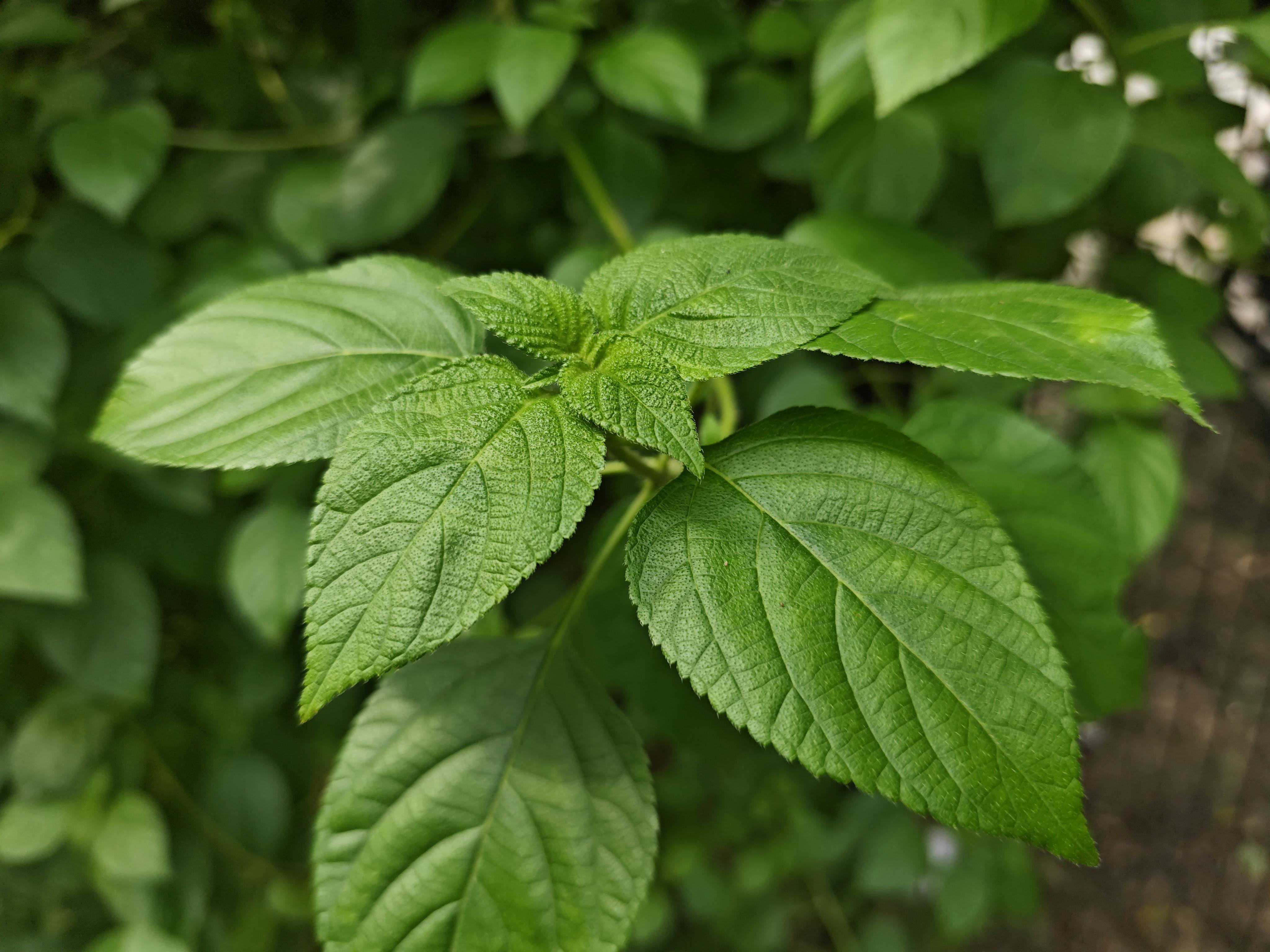 Fluted+Glass+Texture Photos, Download The BEST Free Fluted+Glass ...