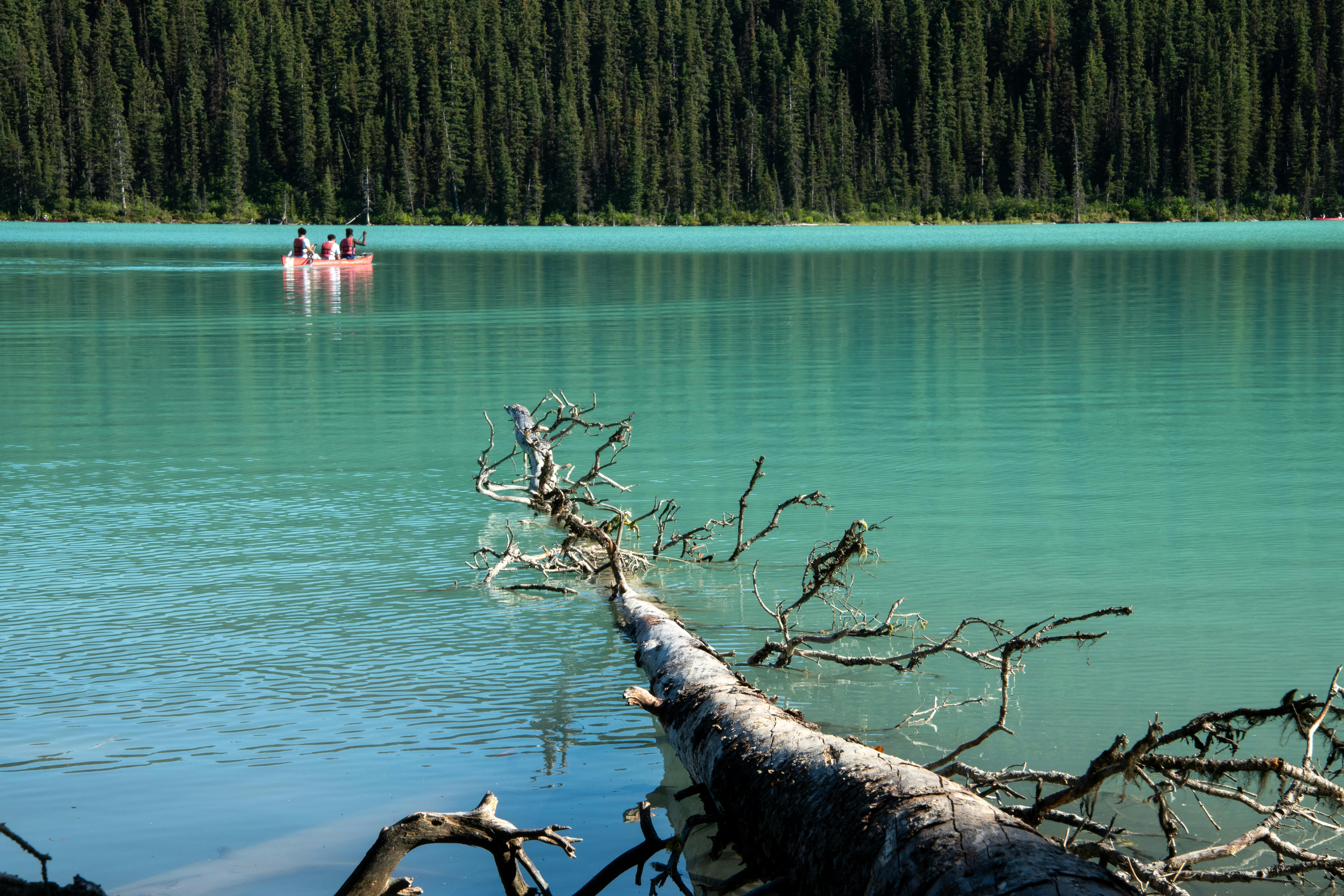 Ladki+Ladki+Log+Ka+Wallpaper Photos, Download The BEST Free Ladki+Ladki ...