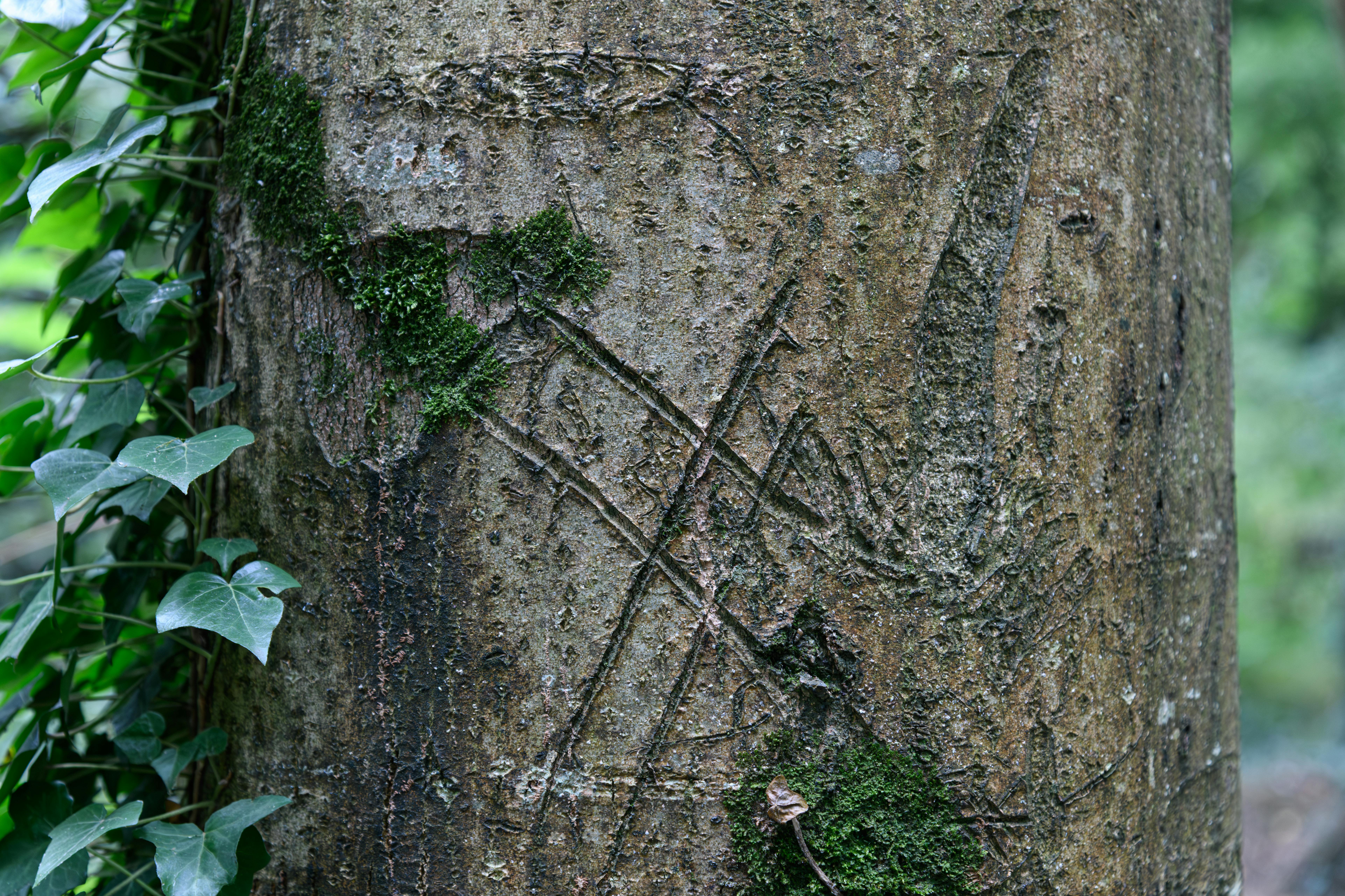 Pictures+Of+Cunnilingus Photos, Download The BEST Free Pictures+Of ...