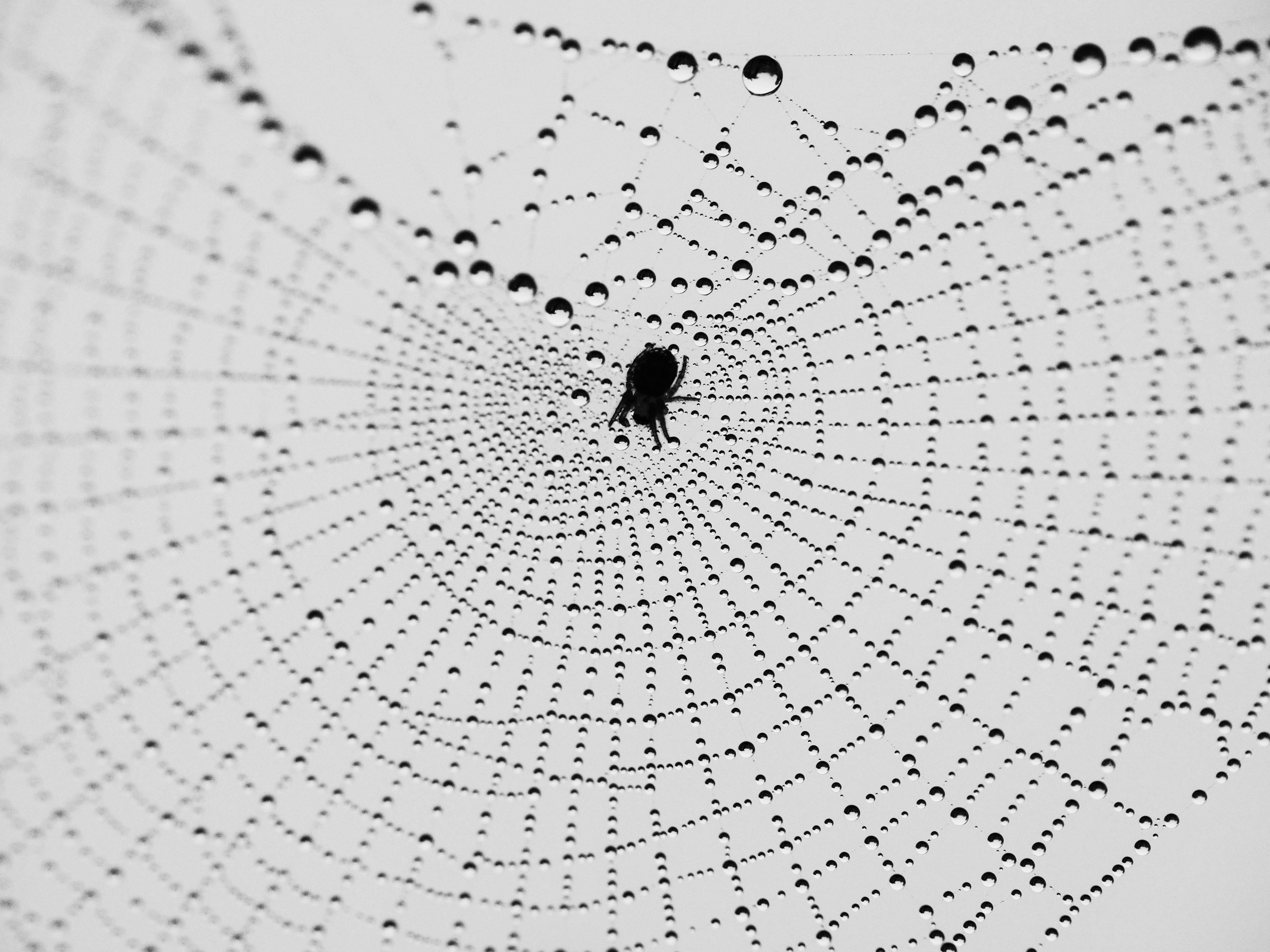 Damp+Lips Photos, Download The BEST Free Damp+Lips Stock Photos & HD Images