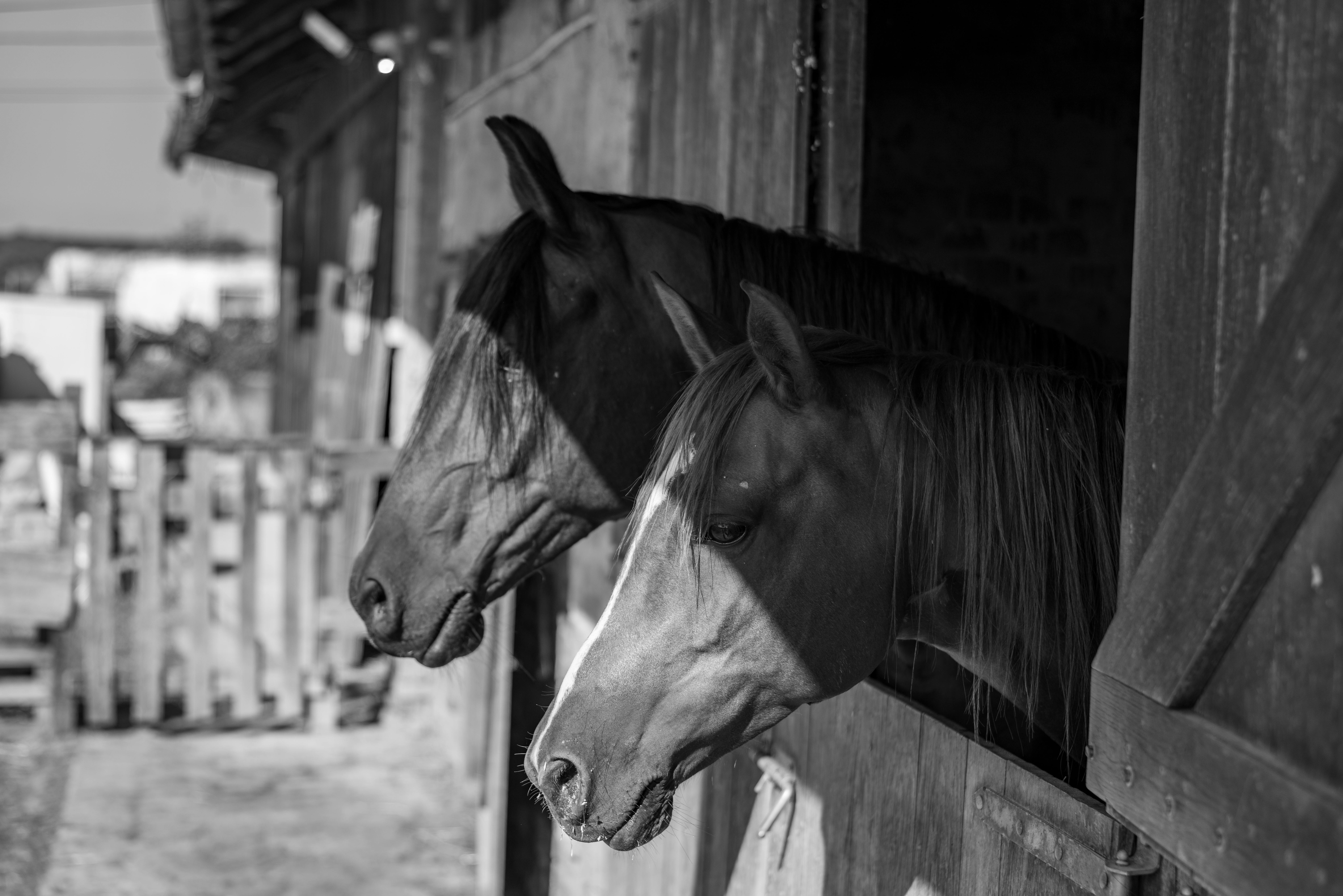 Nostalgic Photos, Download The BEST Free Nostalgic Stock Photos & HD Images