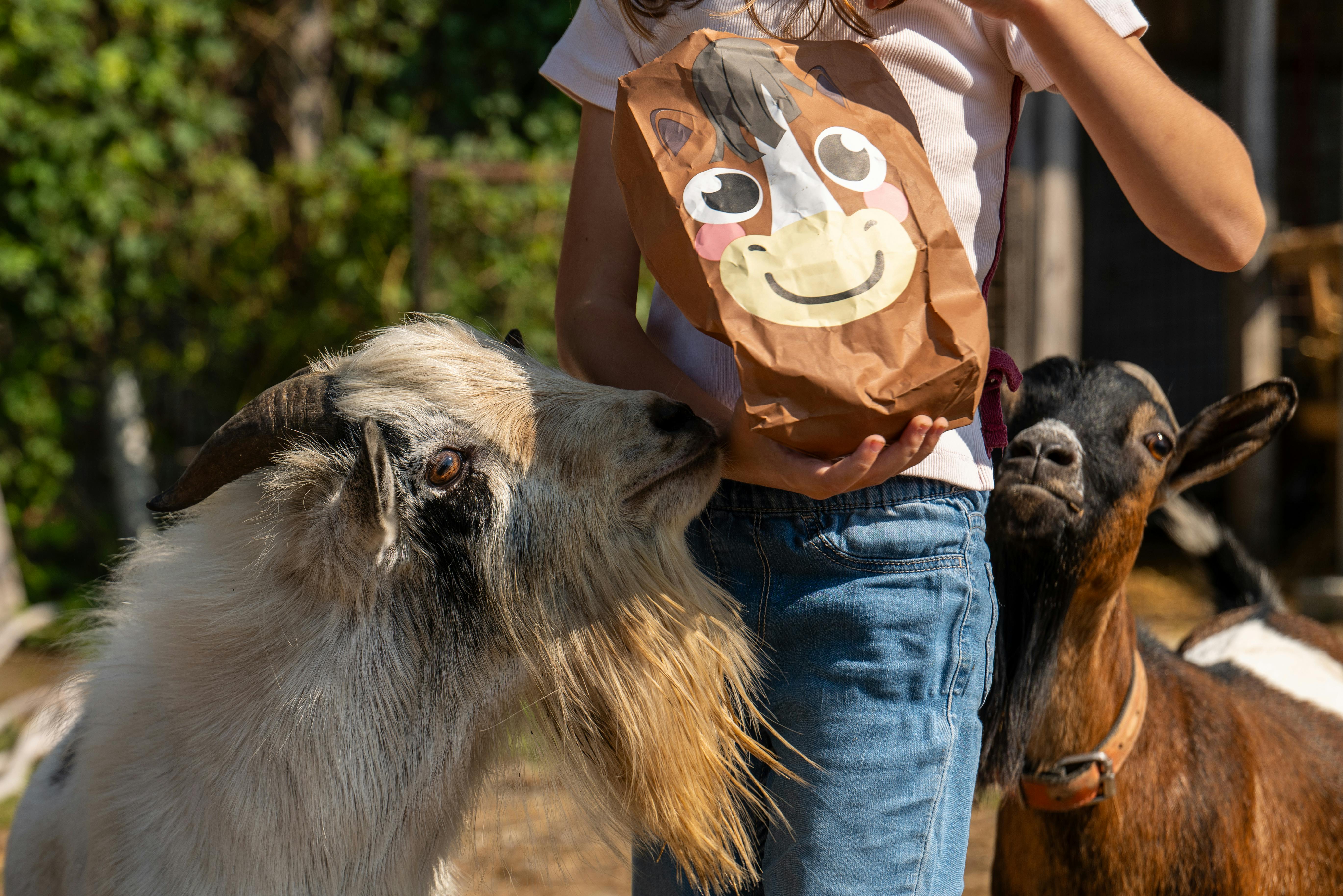 Sax Girl Photos, Download The BEST Free Sax Girl Stock Photos & HD Images