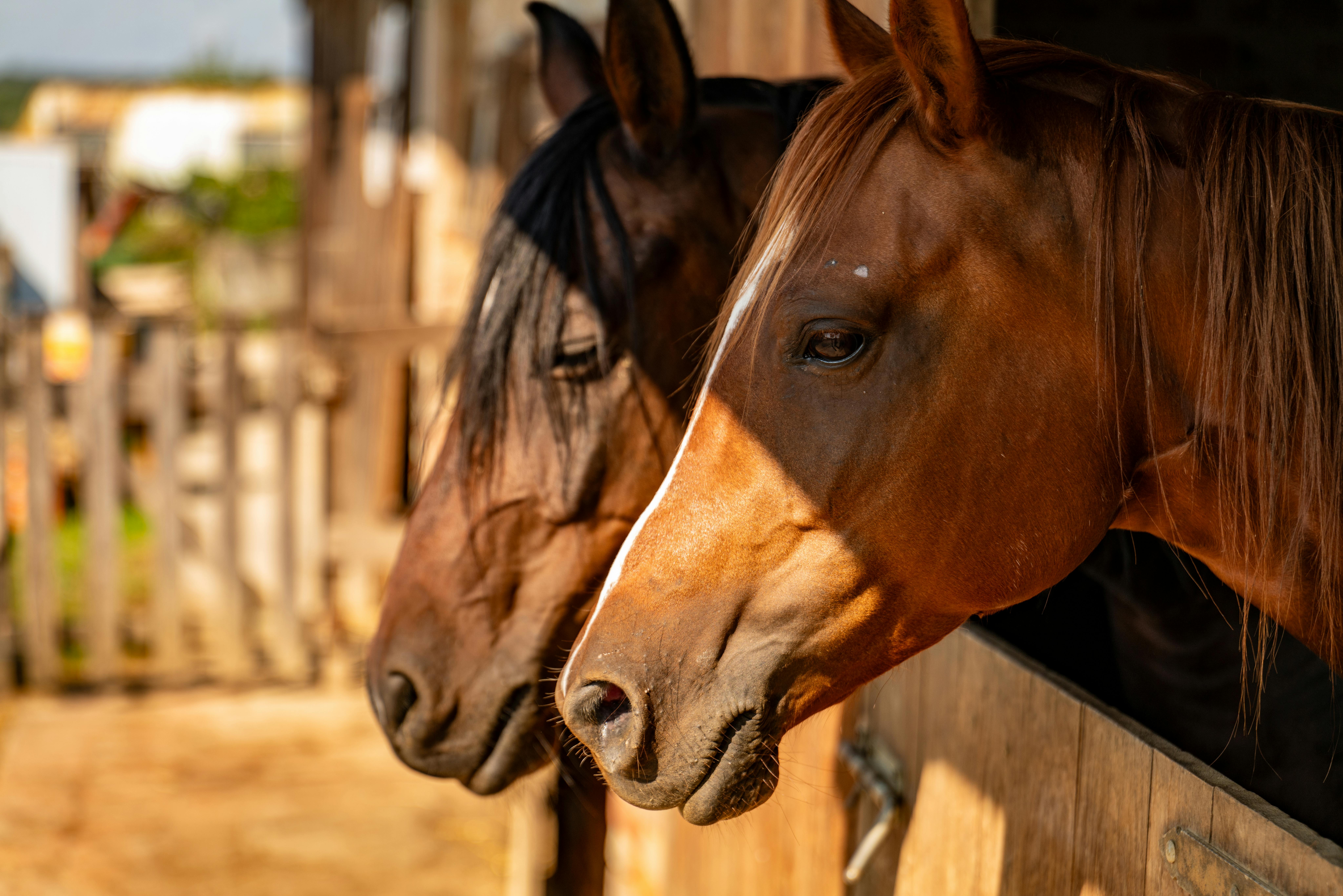 Qizlar+Uchun+Profil+Rasmlar Photos, Download The BEST Free Qizlar+Uchun ...