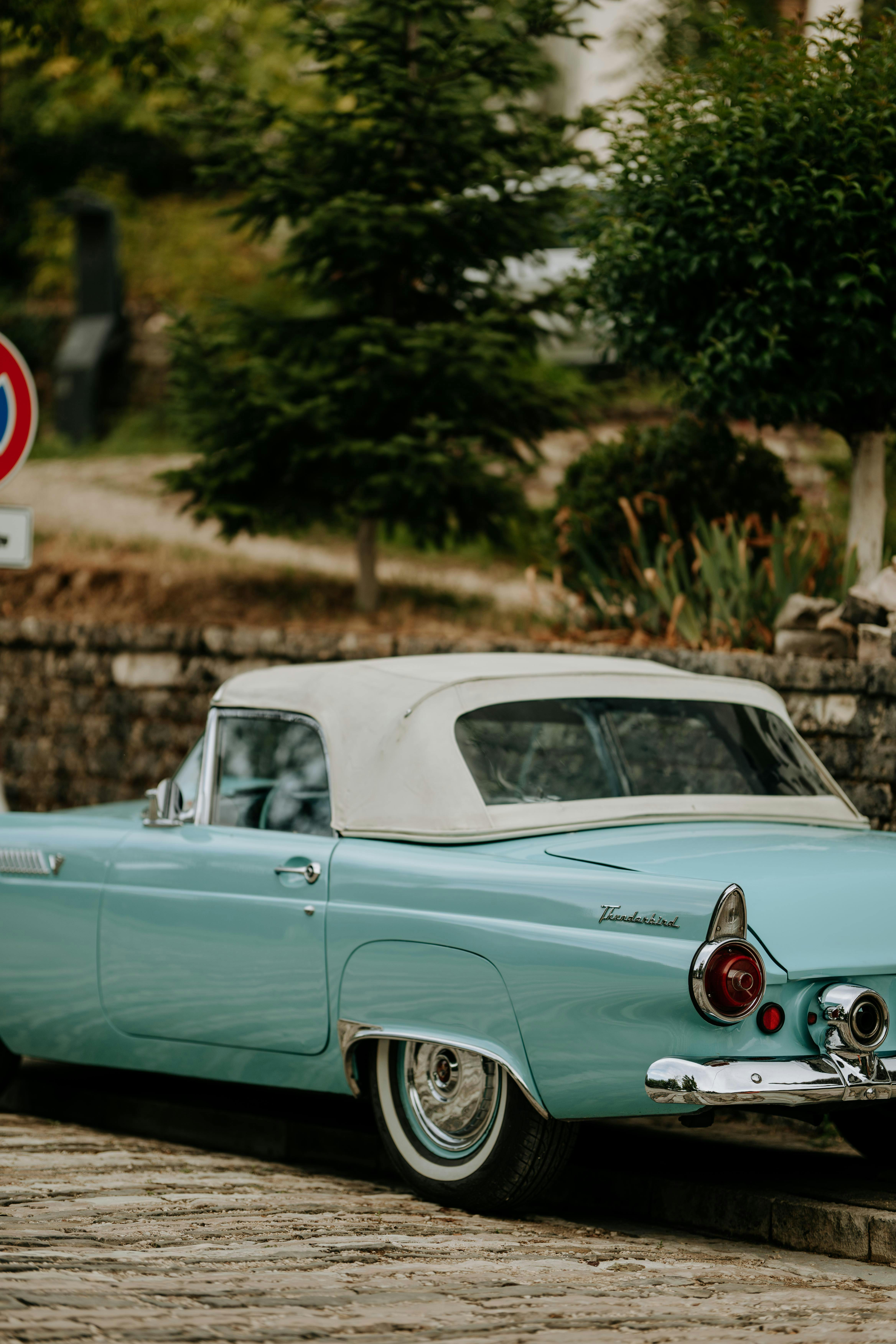 Car Bakkie Photos, Download The BEST Free Car Bakkie Stock Photos & HD ...