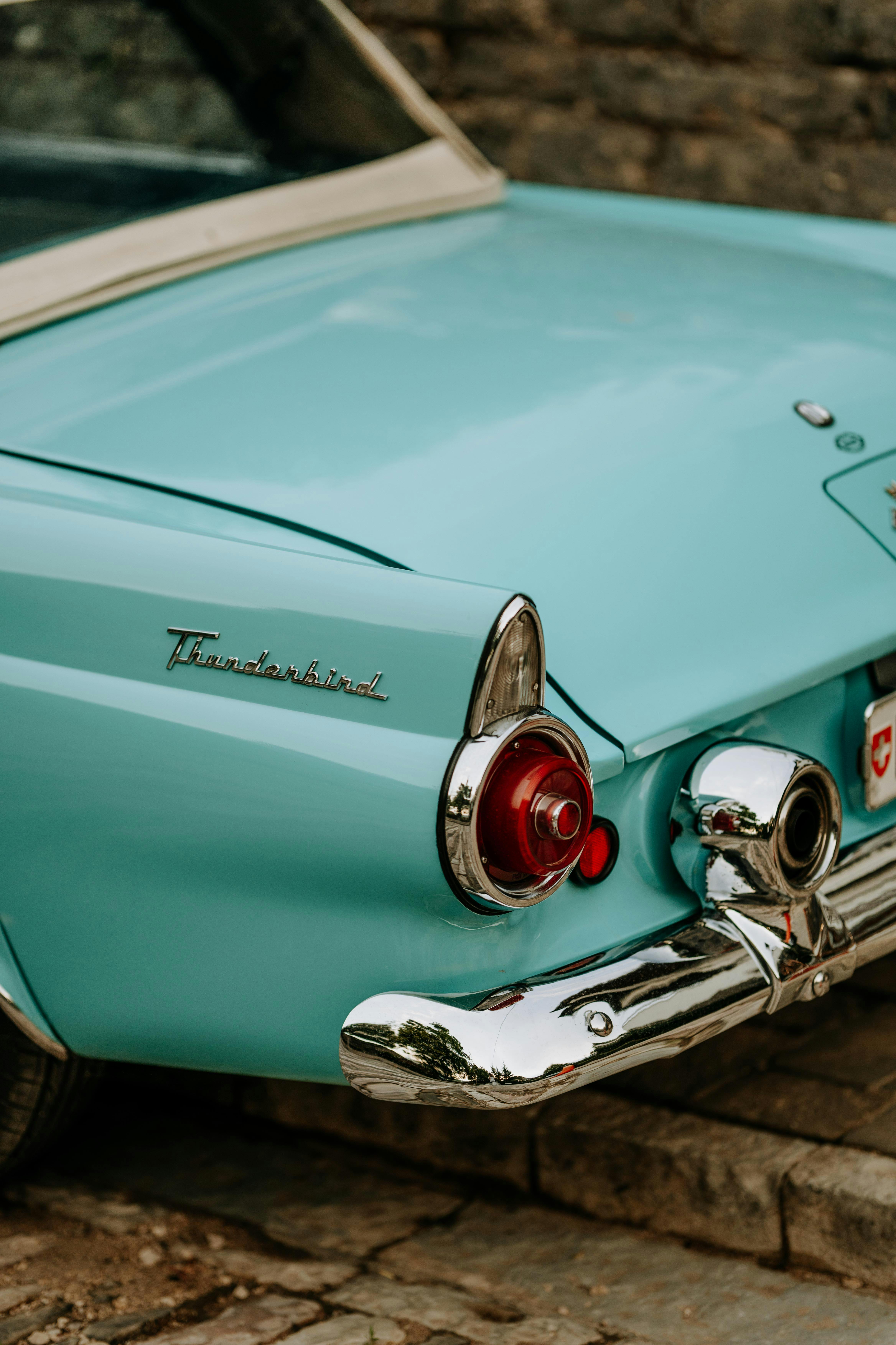 Ann+Rohmer+Photos Photos, Download The BEST Free Ann+Rohmer+Photos ...