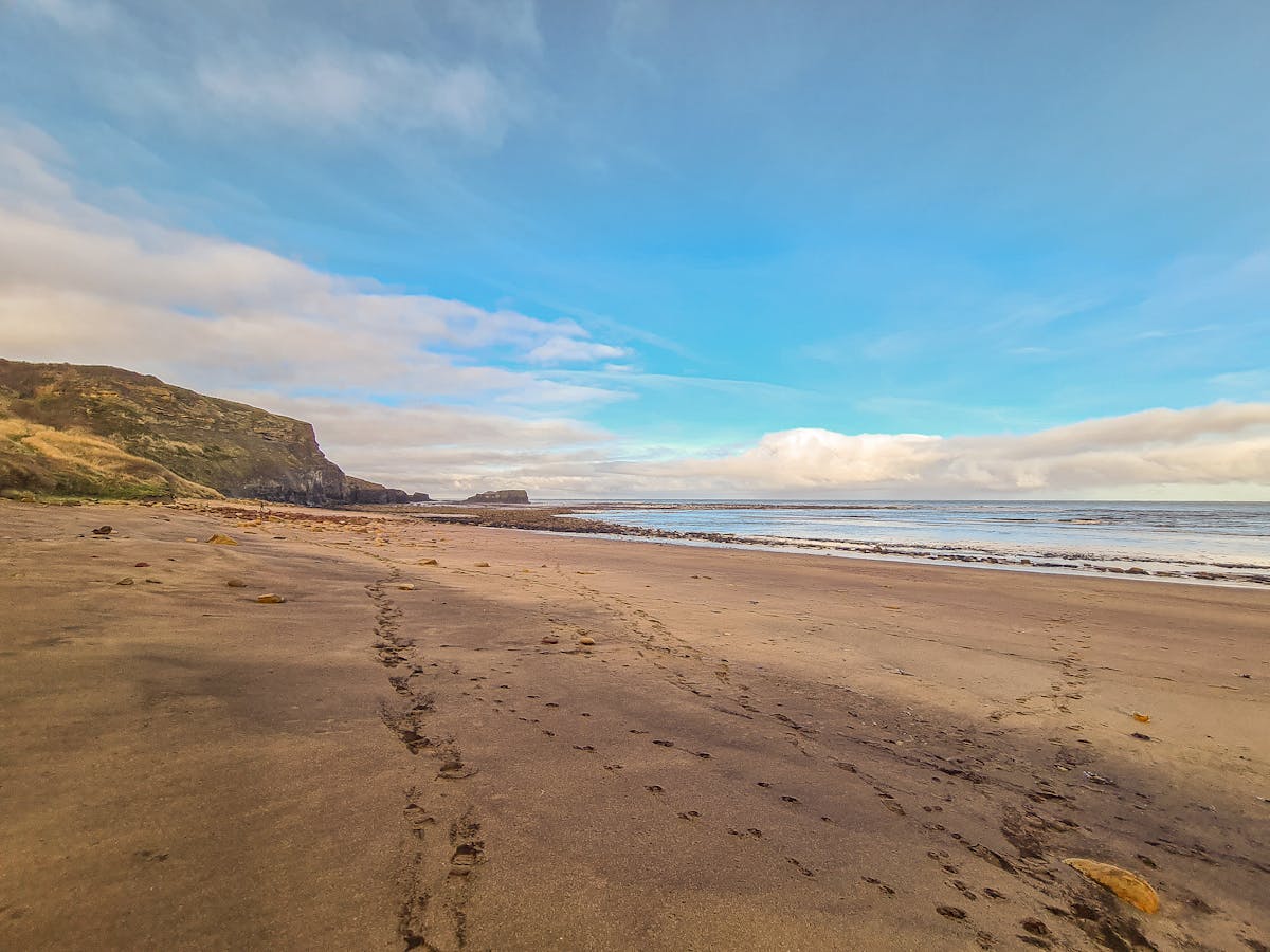 Jenna+Ortega+Beach+Bikini Photos, Download The BEST Free Jenna+Ortega ...