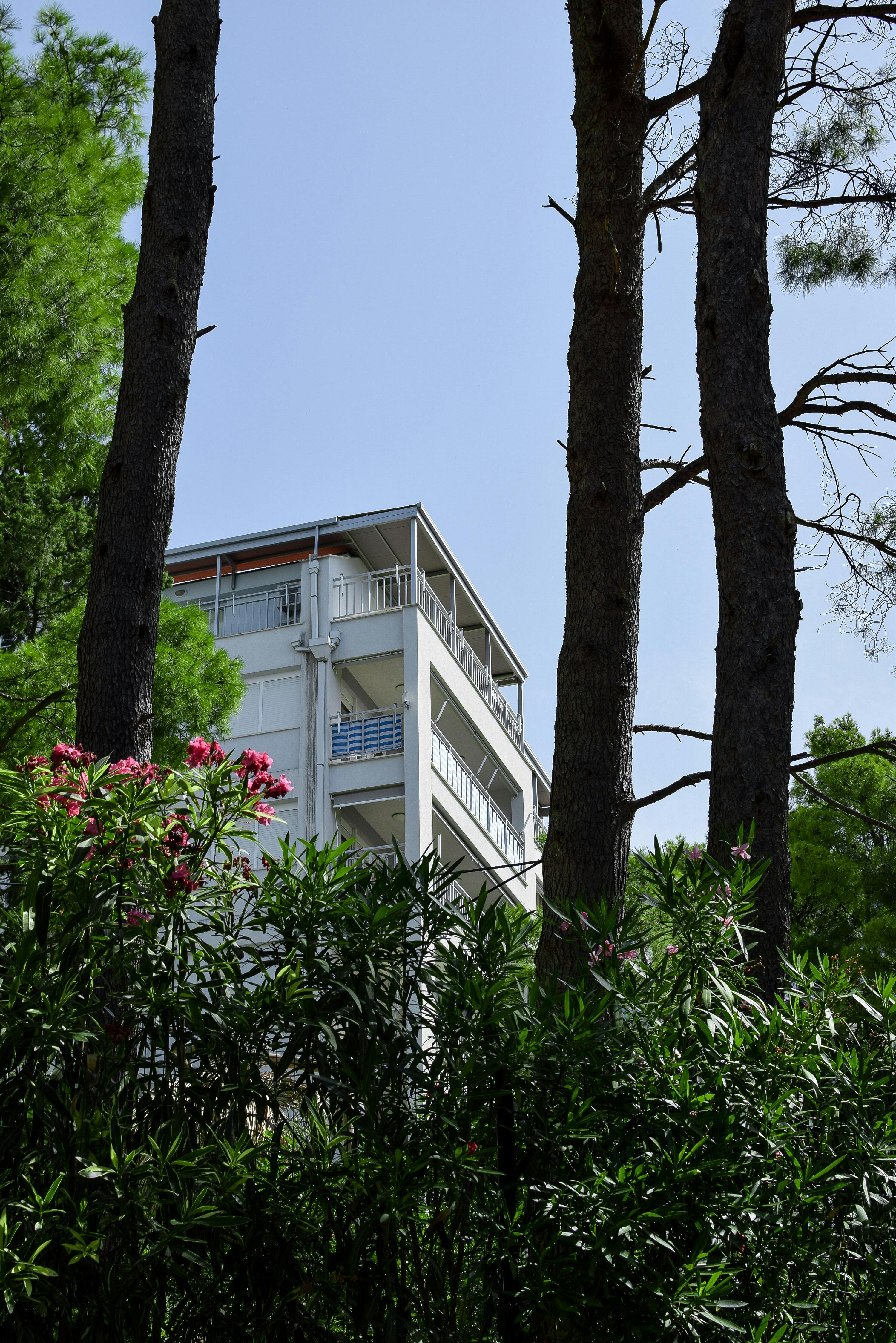 Intellectual Property Photos, Download The BEST Free Intellectual ...