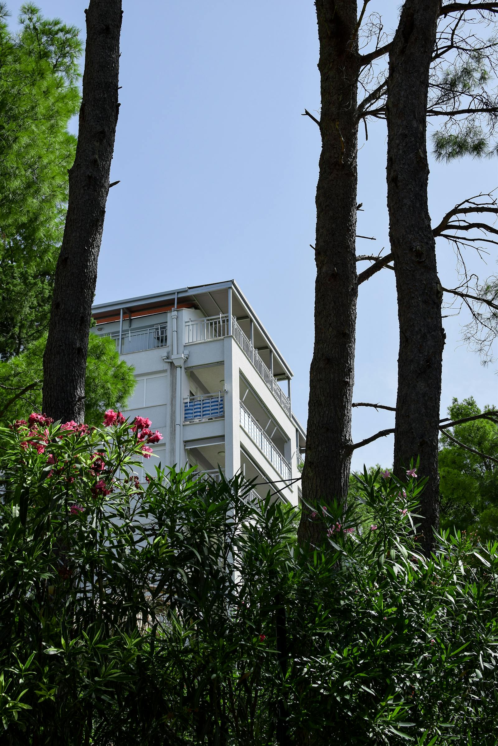 Intellectual Property Photos, Download The BEST Free Intellectual ...