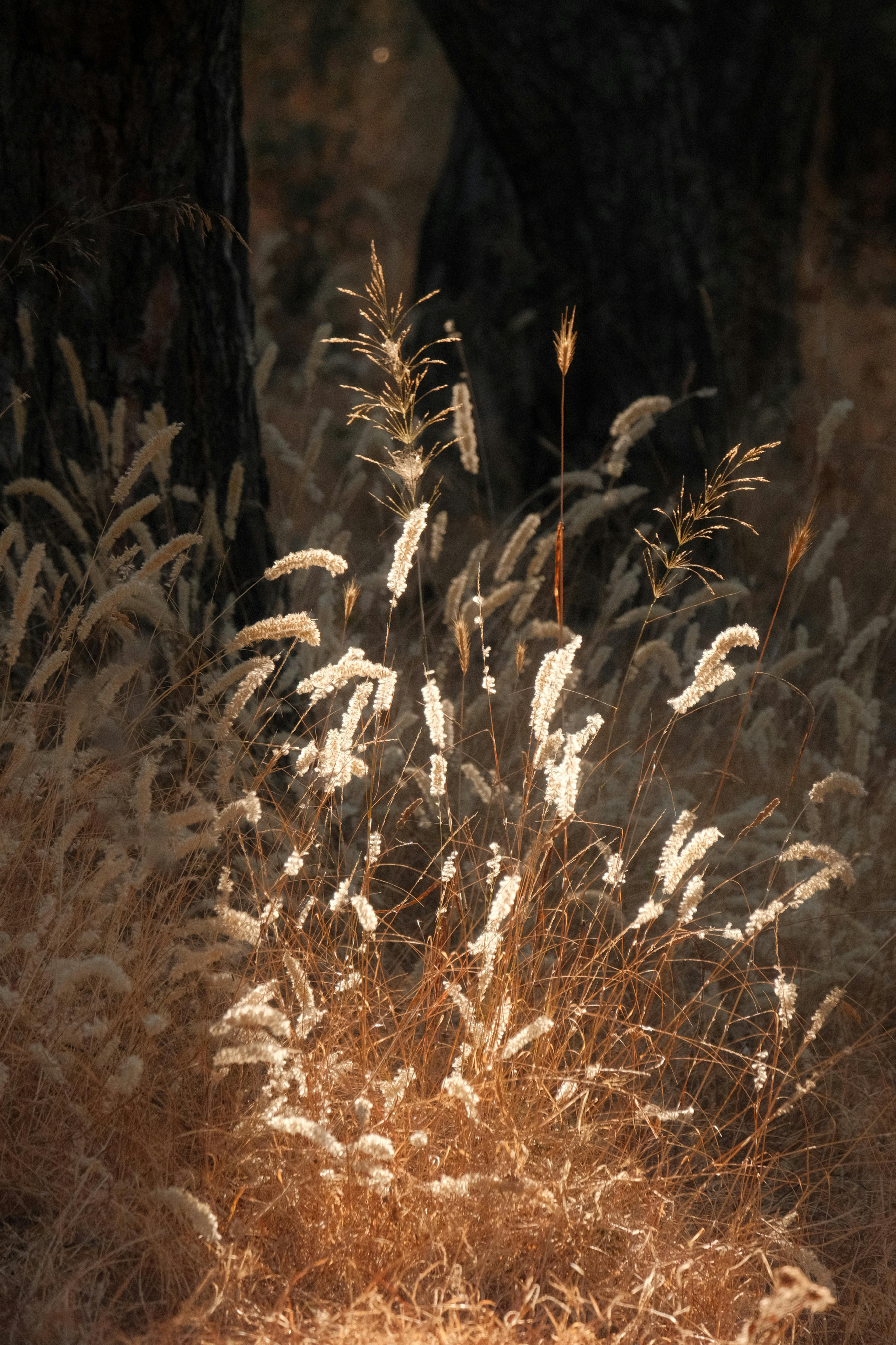 700 000+ Anus+photo banque d’images et photos libres de droit · Téléchargement gratuit · Photos ...
