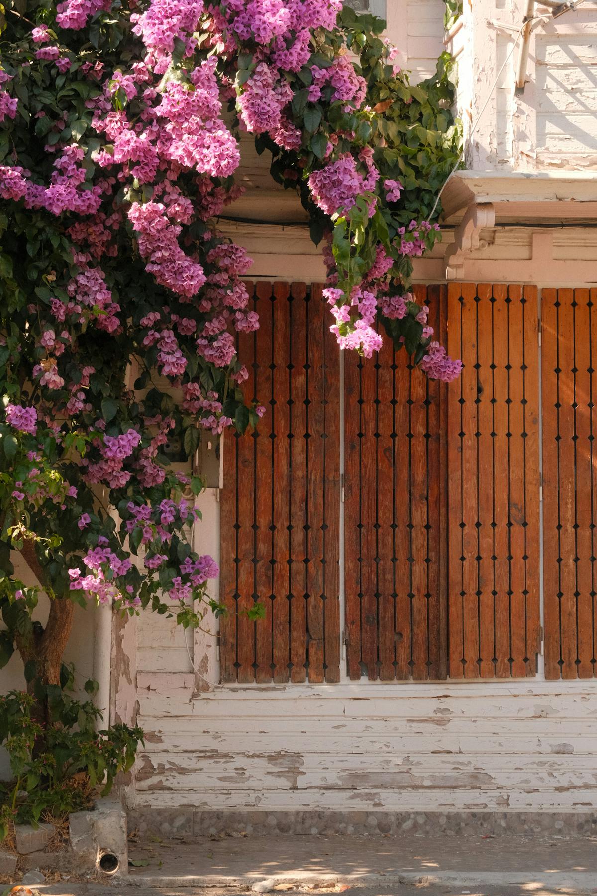 Tinymodel+Princess+Sunshine Photos, Download The BEST Free Tinymodel ...