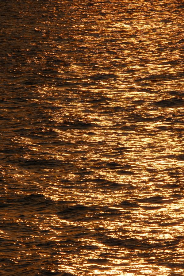 Golden Sunset Photos, Download The BEST Free Golden Sunset Stock Photos ...