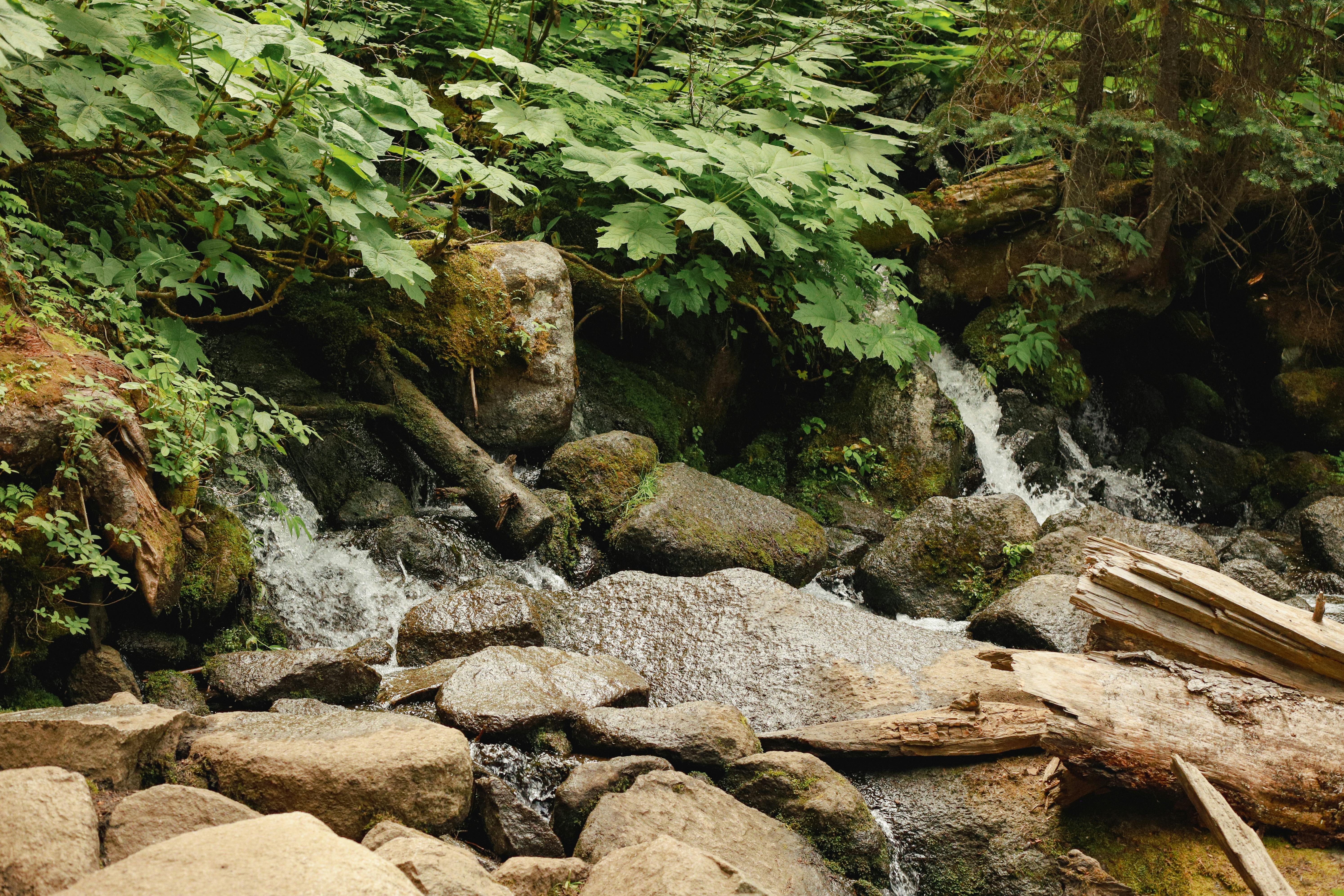 Refreshing Photos, Download The BEST Free Refreshing Stock Photos & HD ...