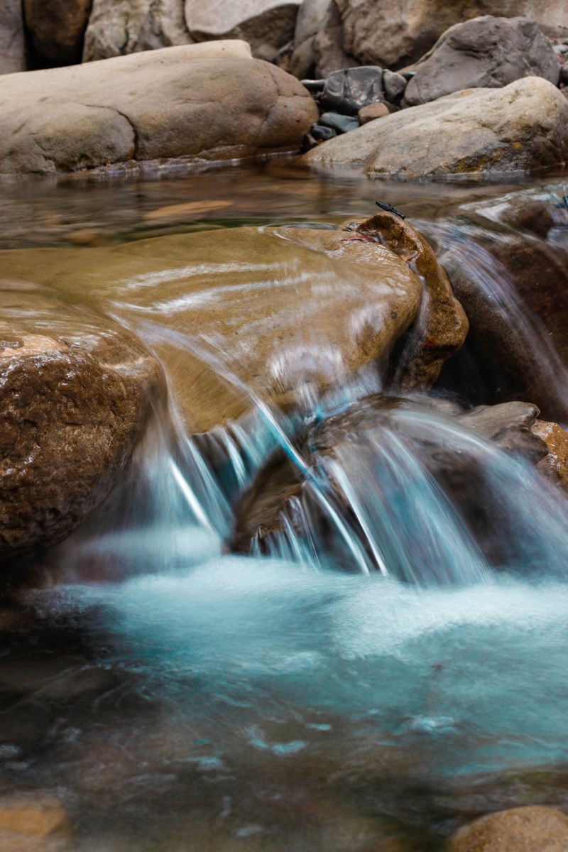6,000+ Best Brook Photos · 100% Free Download · Pexels Stock Photos