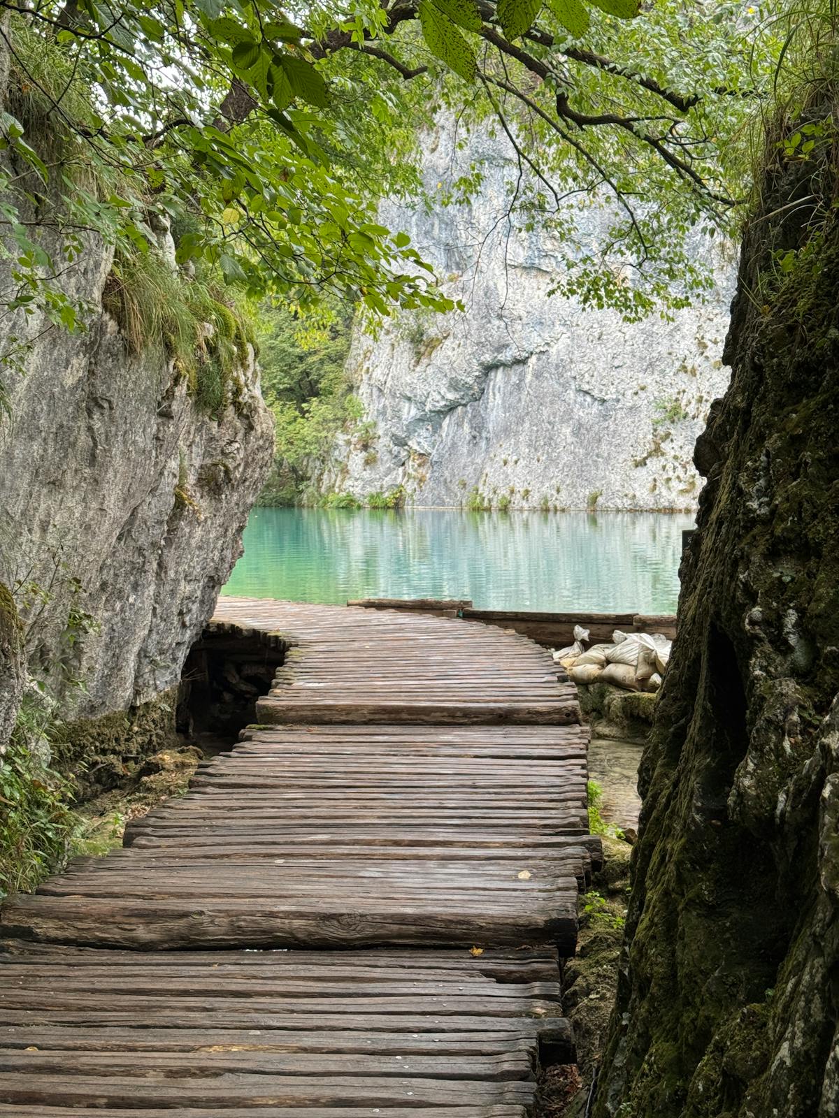 Pictures+To+Goon+To Photos, Download The BEST Free Pictures+To+Goon+To ...