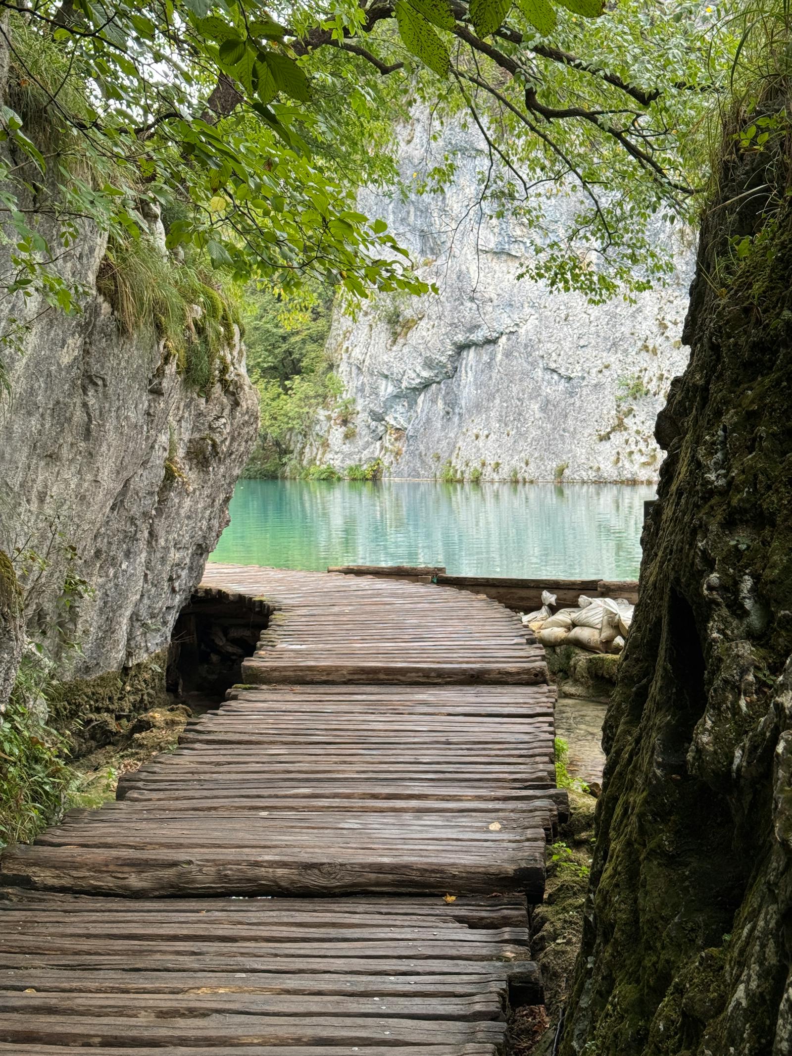 Xgroovy+Pictures Photos, Download The BEST Free Xgroovy+Pictures Stock ...