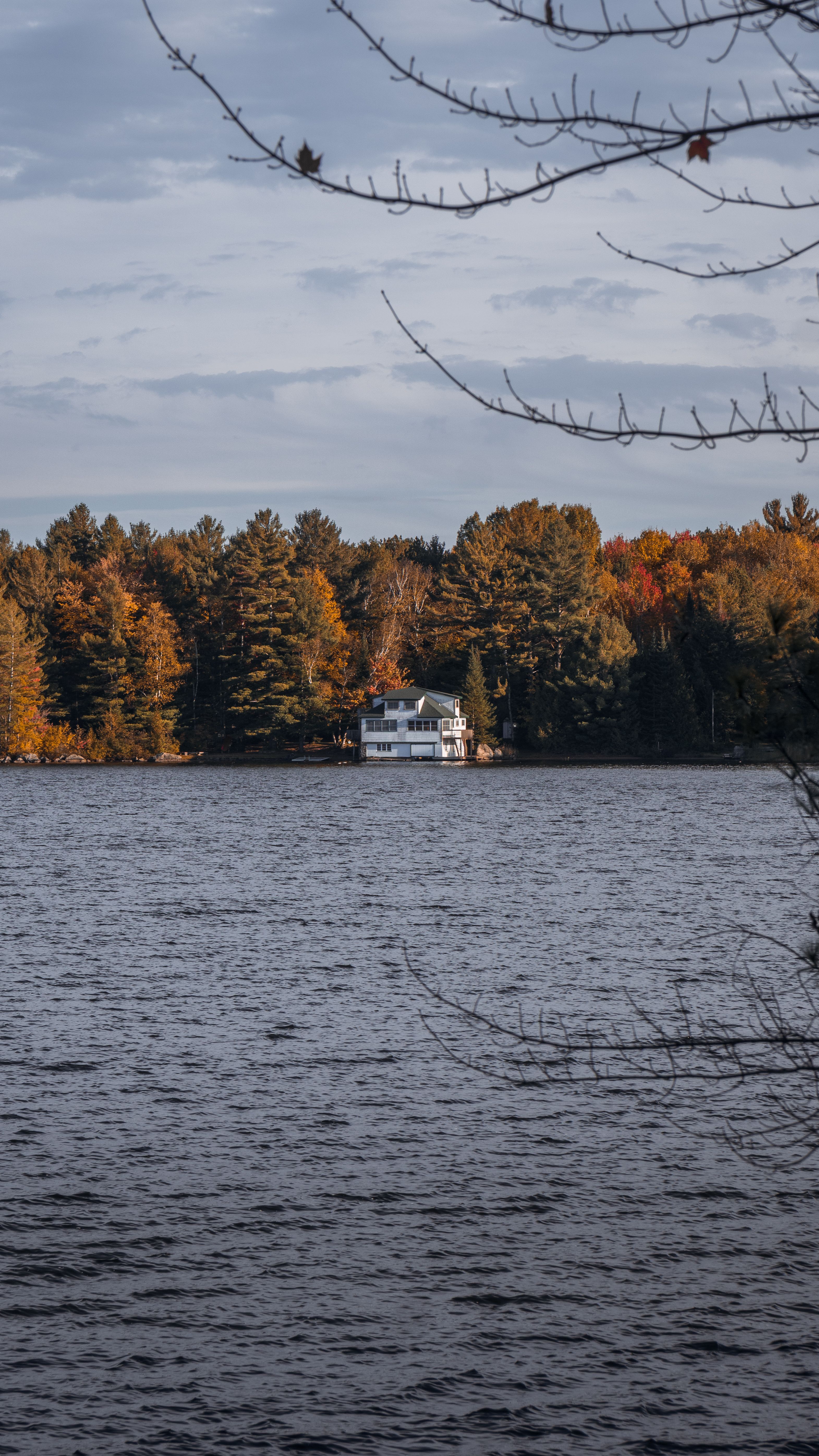 Scenic Autumn View of Muskoka Lake, Ontario · Free Stock Photo