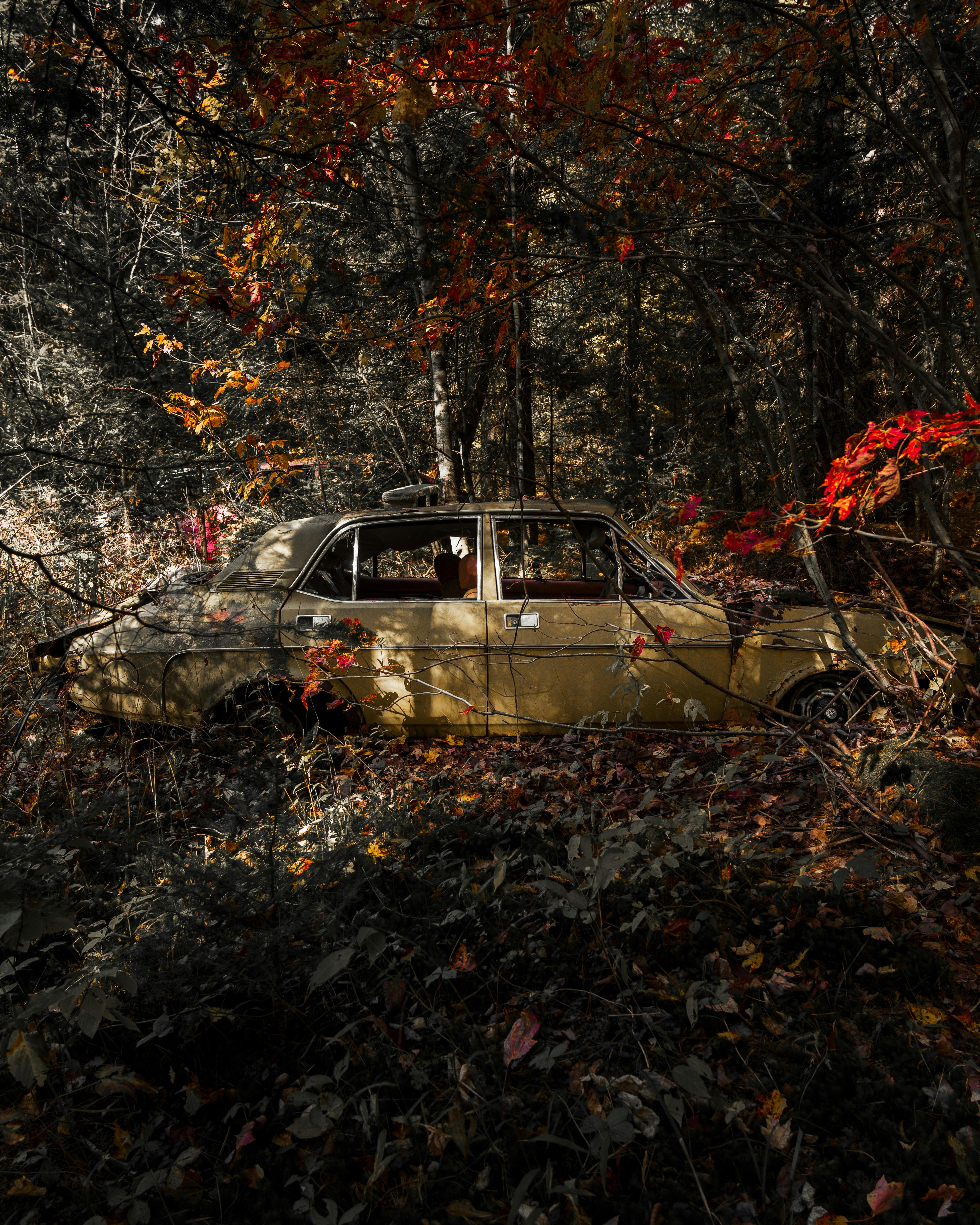 Nostalgic Photos, Download The BEST Free Nostalgic Stock Photos & HD Images