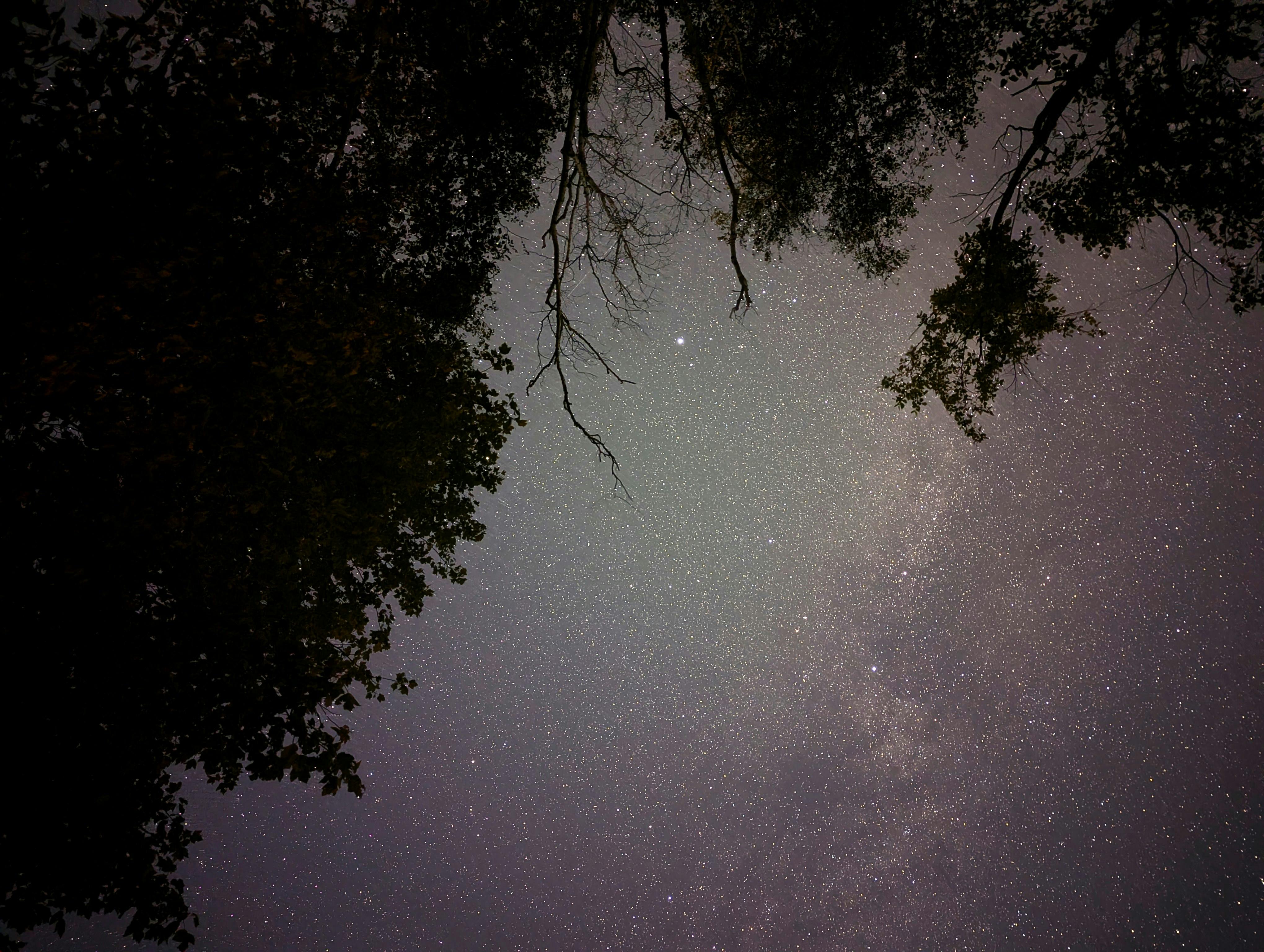 Night Sky Pfp Photos, Download The BEST Free Night Sky Pfp Stock Photos ...