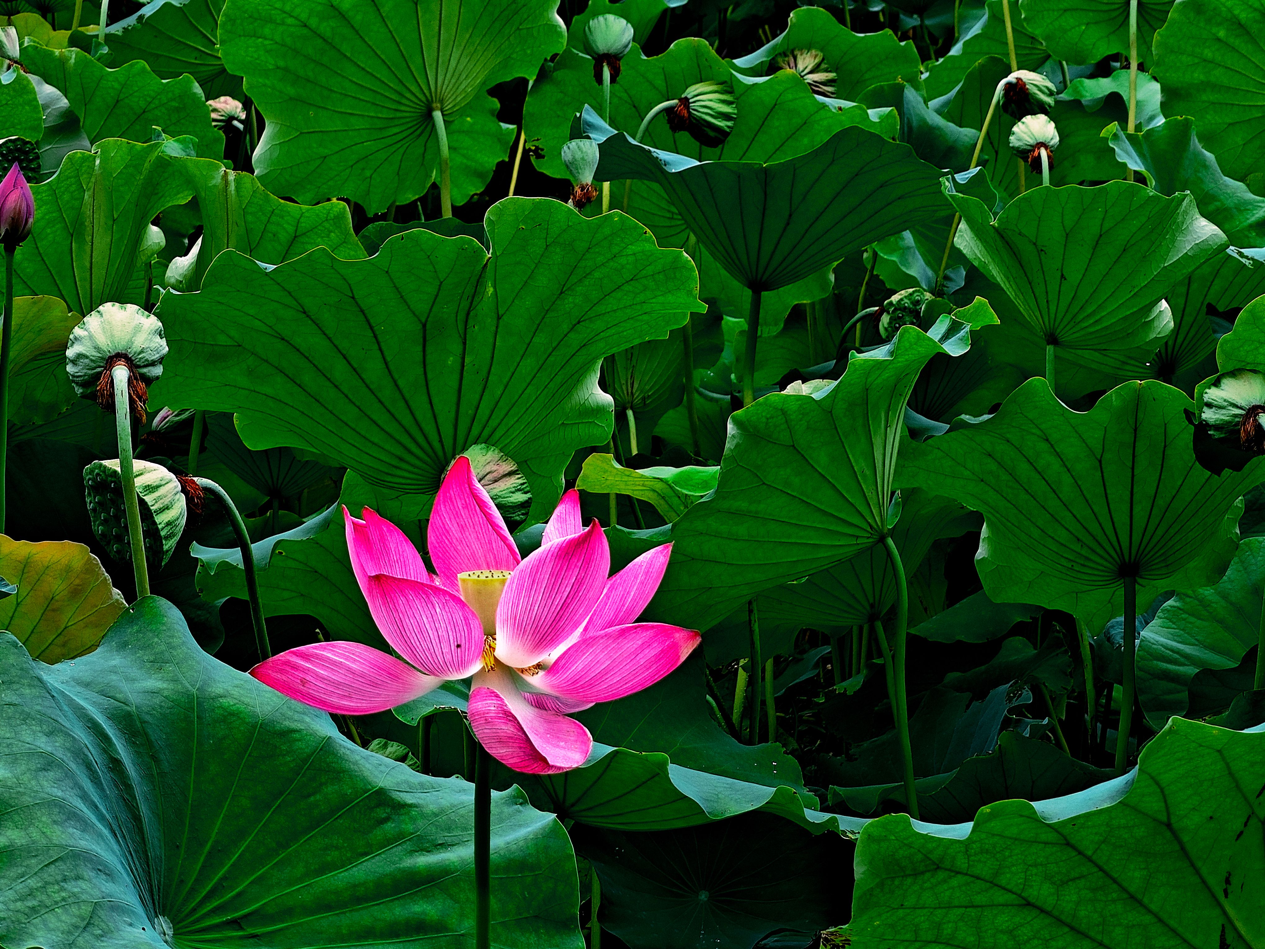 Lily+Larimar+Pics Photos, Download The BEST Free Lily+Larimar+Pics ...