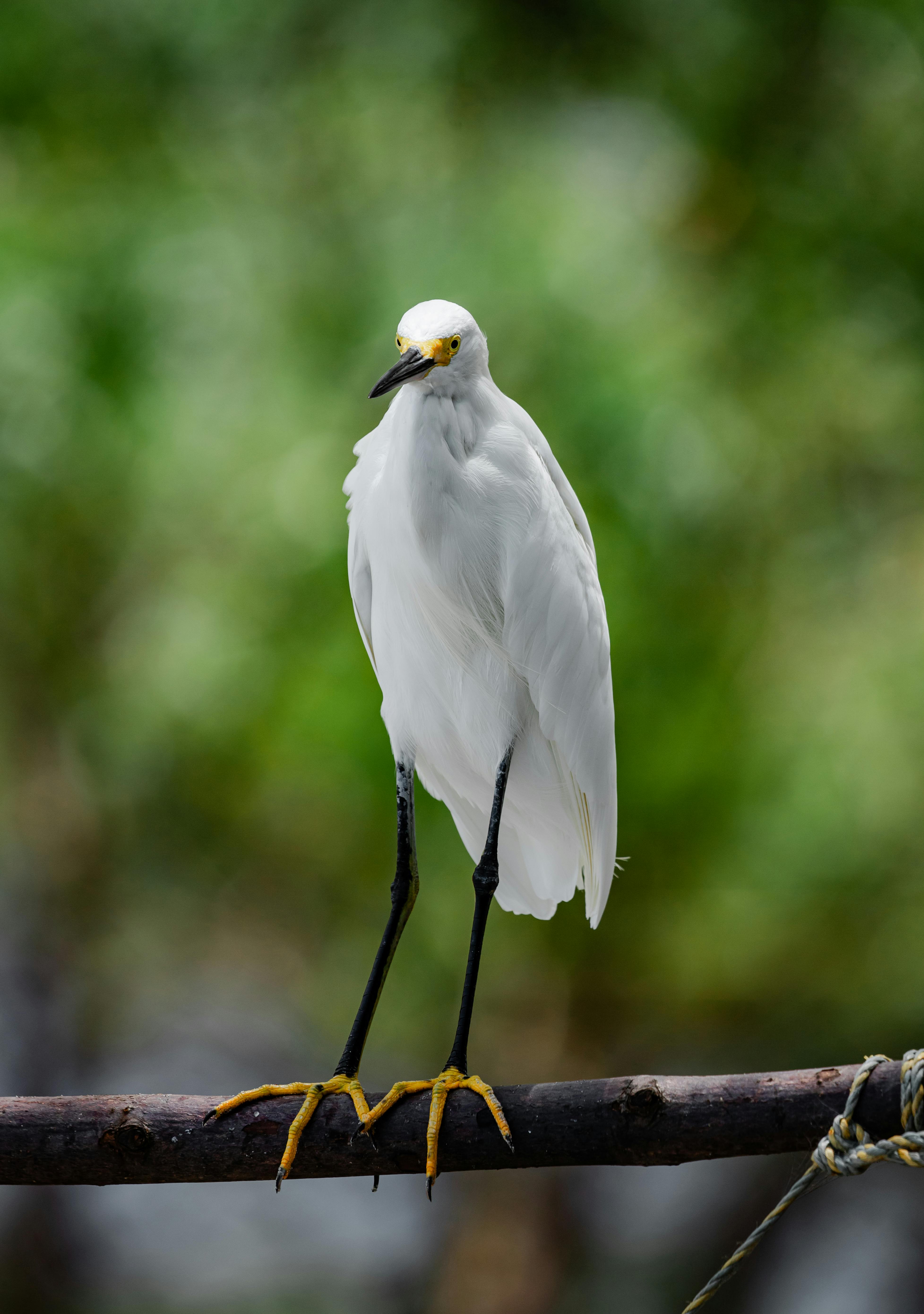 Gal+Gadot+Feet Photos, Download The BEST Free Gal+Gadot+Feet Stock Photos & HD Images