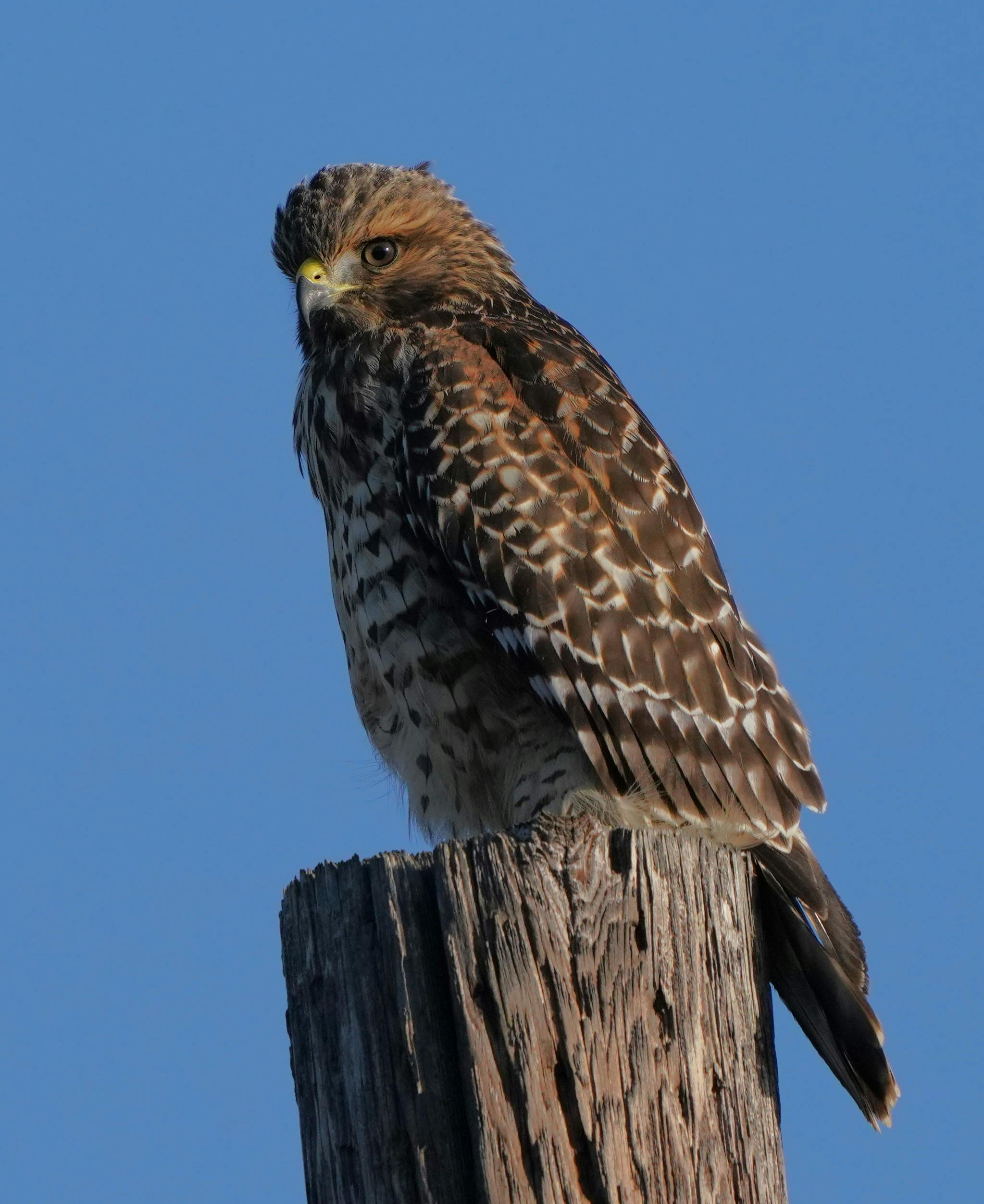 Qizlar+Uchun+Profil+Rasmlar Photos, Download The BEST Free Qizlar+Uchun ...