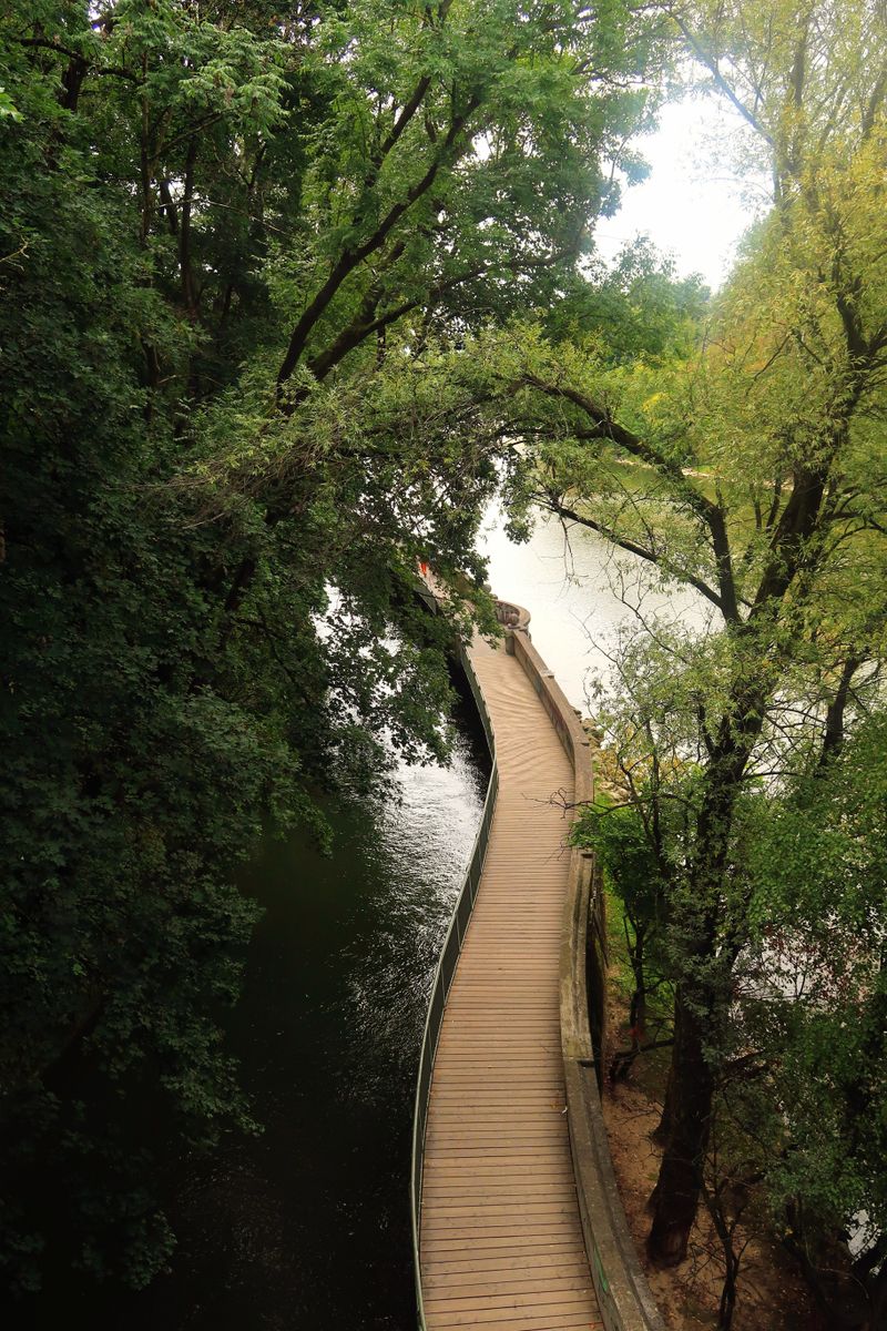 Nature Walk Photos, Download The BEST Free Nature Walk Stock Photos ...