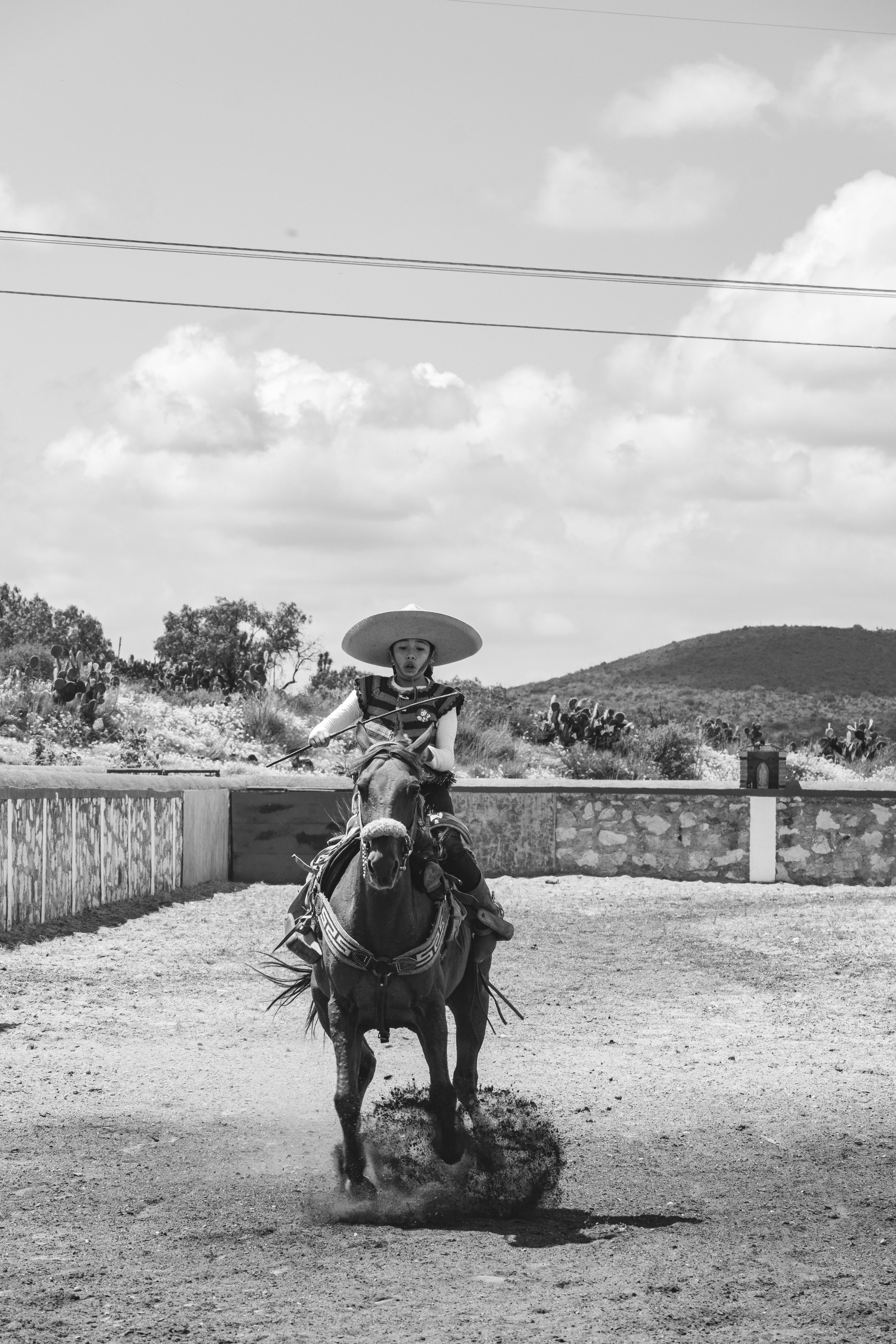 Legacy Photos, Download The BEST Free Legacy Stock Photos & HD Images