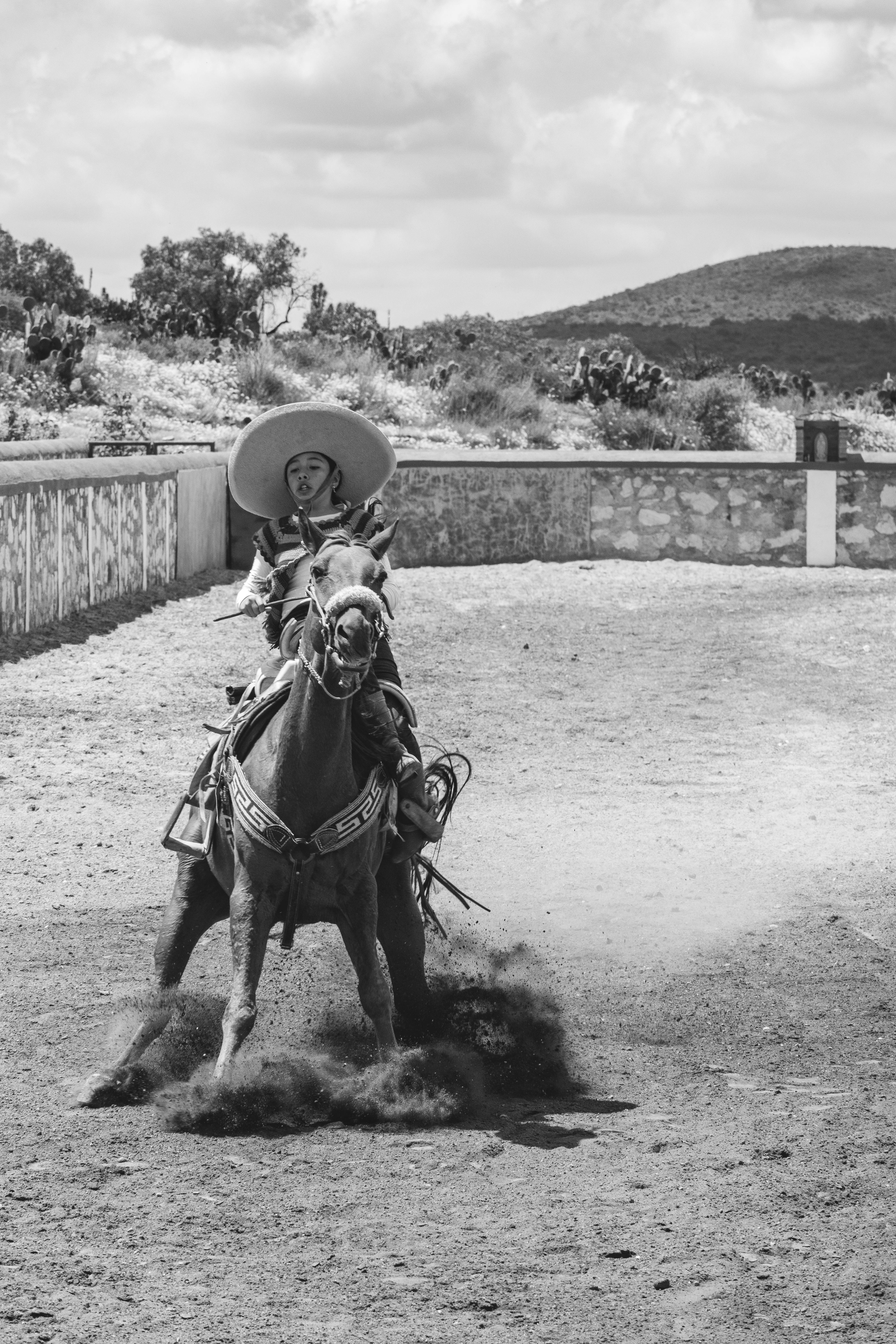 Rodeo Background Photos, Download The BEST Free Rodeo Background Stock ...