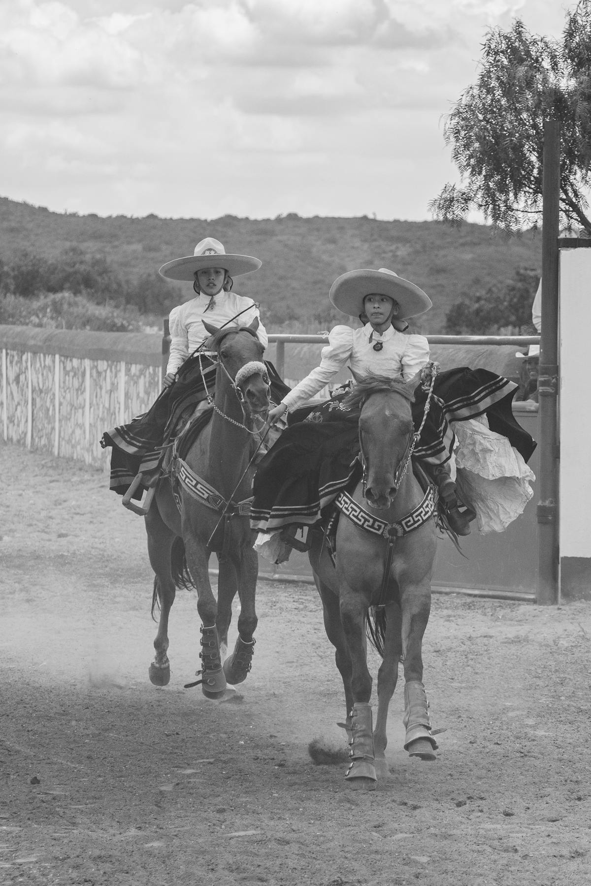 Documentary Photos, Download The BEST Free Documentary Stock Photos ...