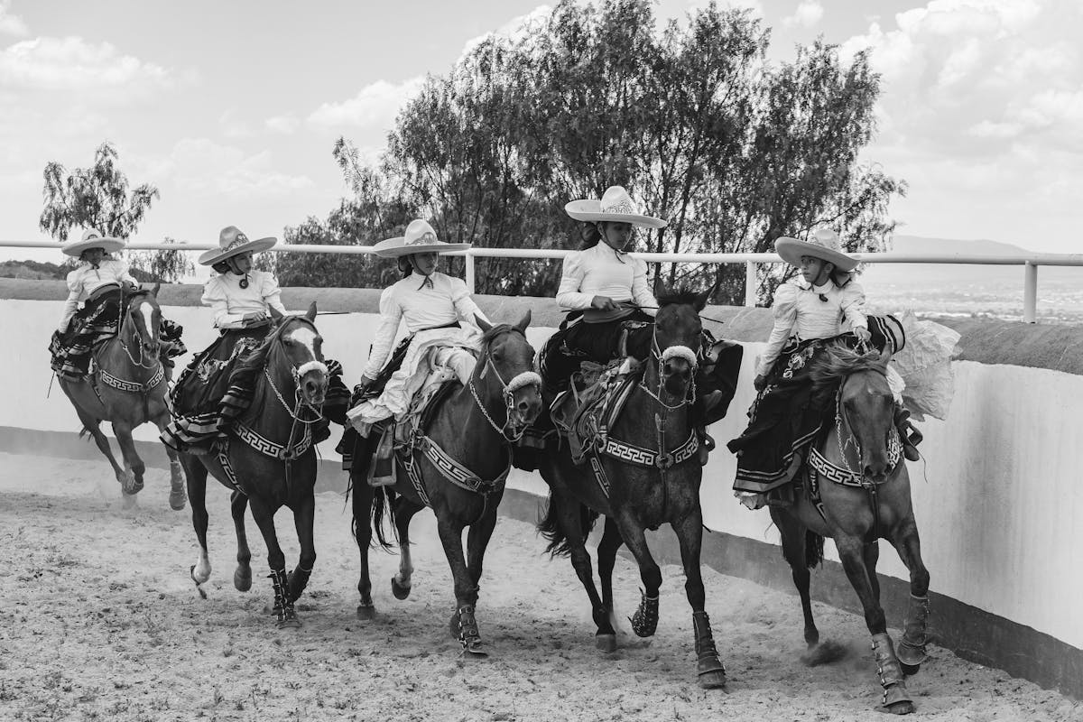 Rodeo Photos, Download The BEST Free Rodeo Stock Photos & HD Images