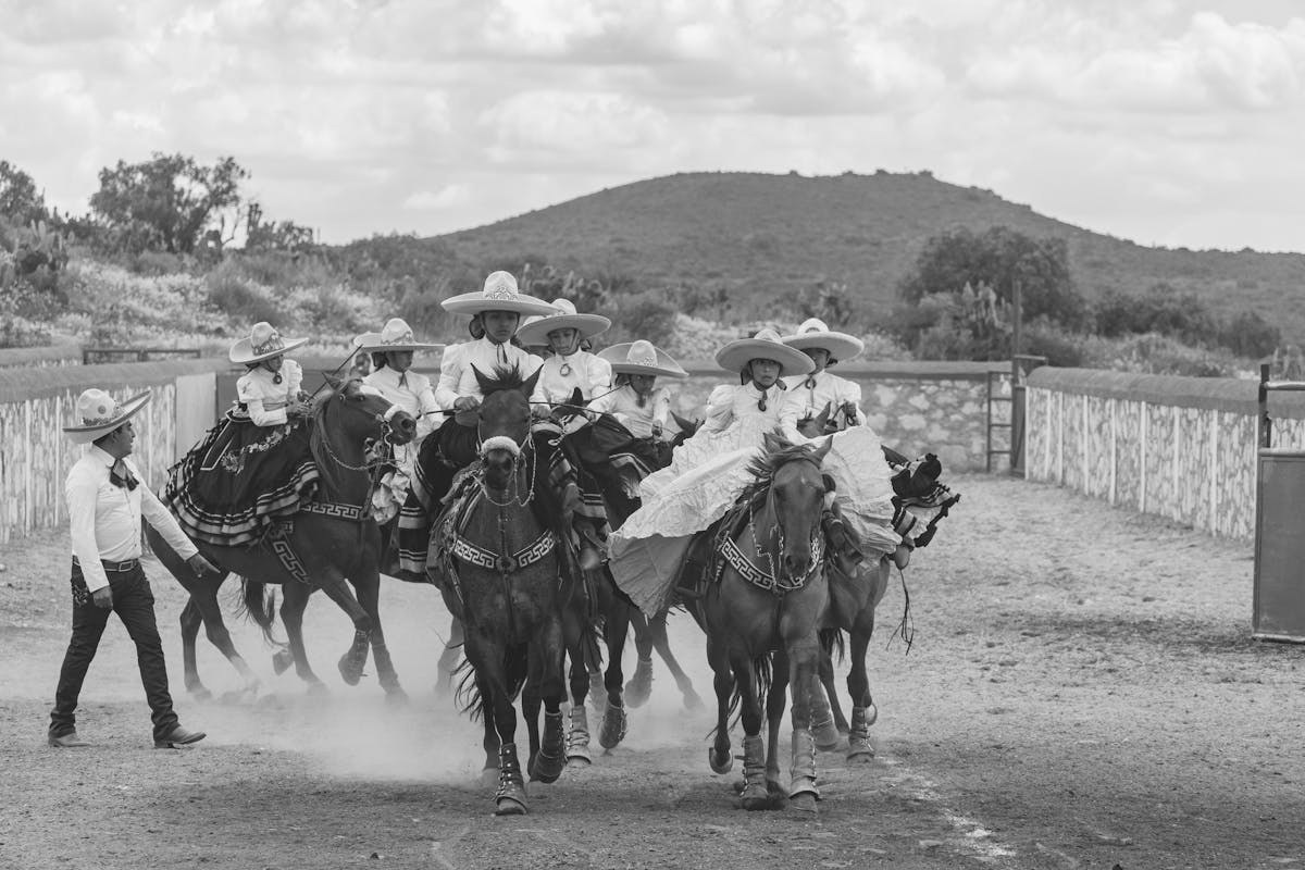Rodeo Photos, Download The BEST Free Rodeo Stock Photos & HD Images