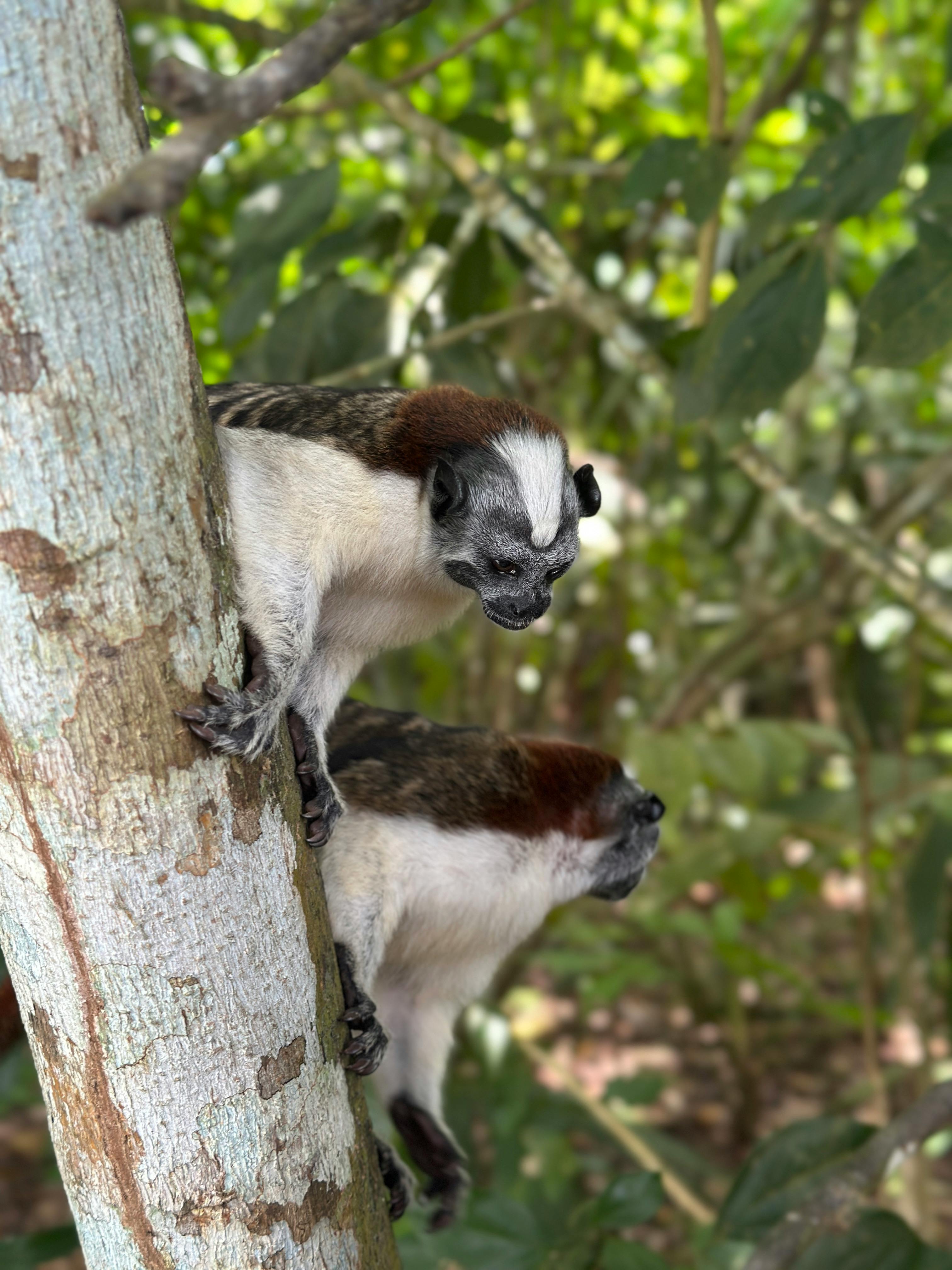 Environmental Awareness Photos, Download The BEST Free Environmental ...