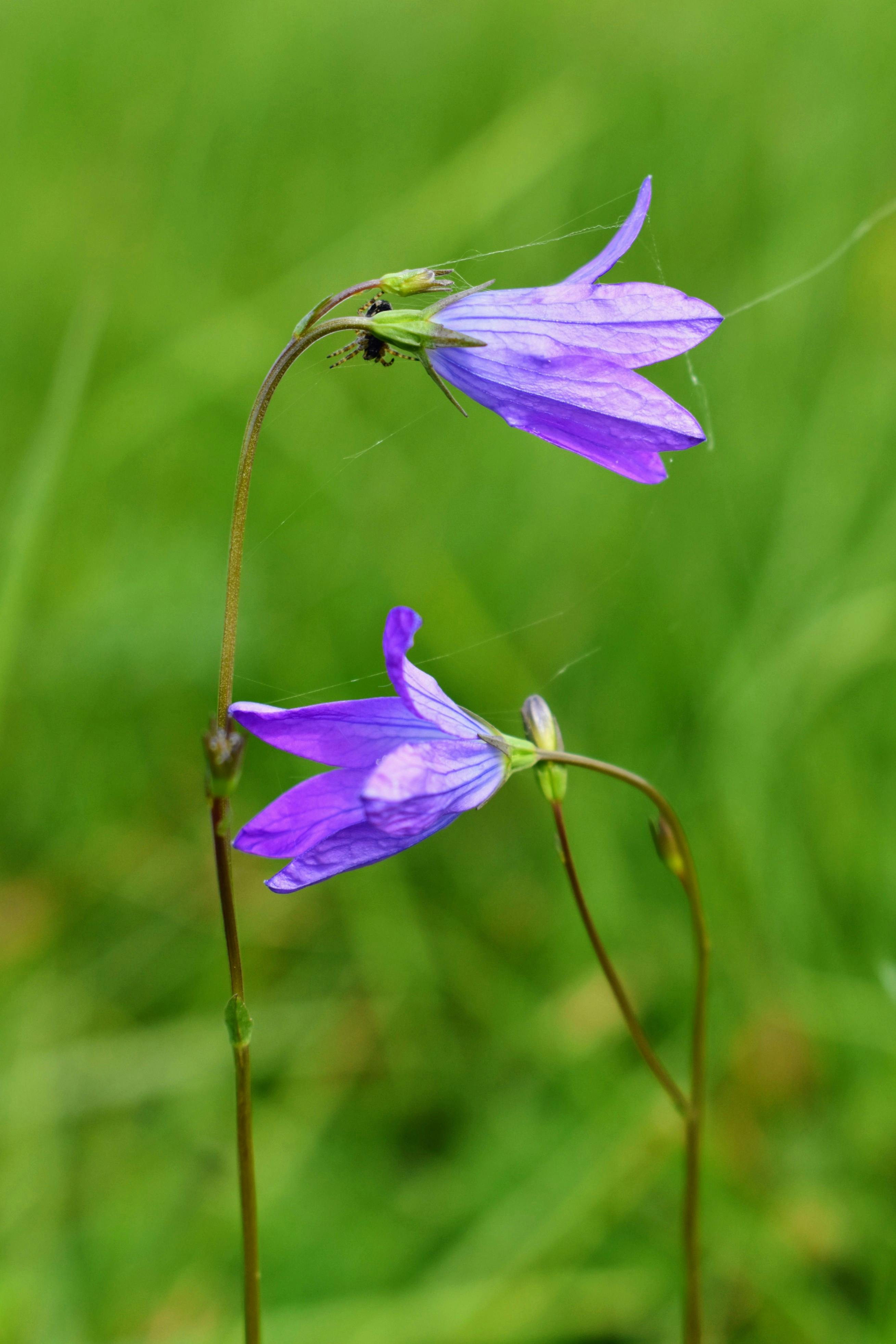 Environmental Science Photos, Download The BEST Free Environmental ...