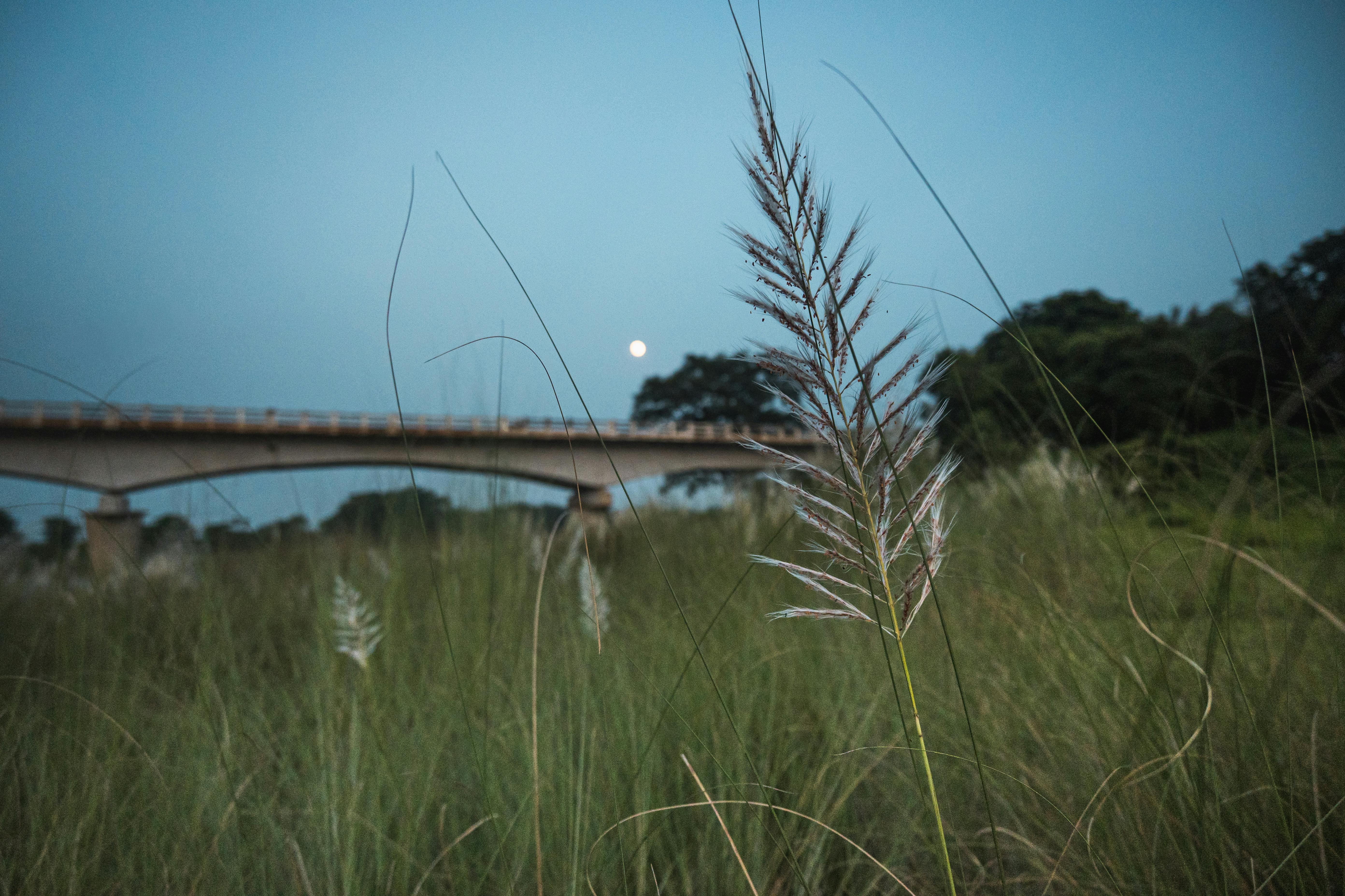 Badhiya+Badhiya+Blue+Bf+Nai+Nai+Ladki Photos, Download The BEST Free ...