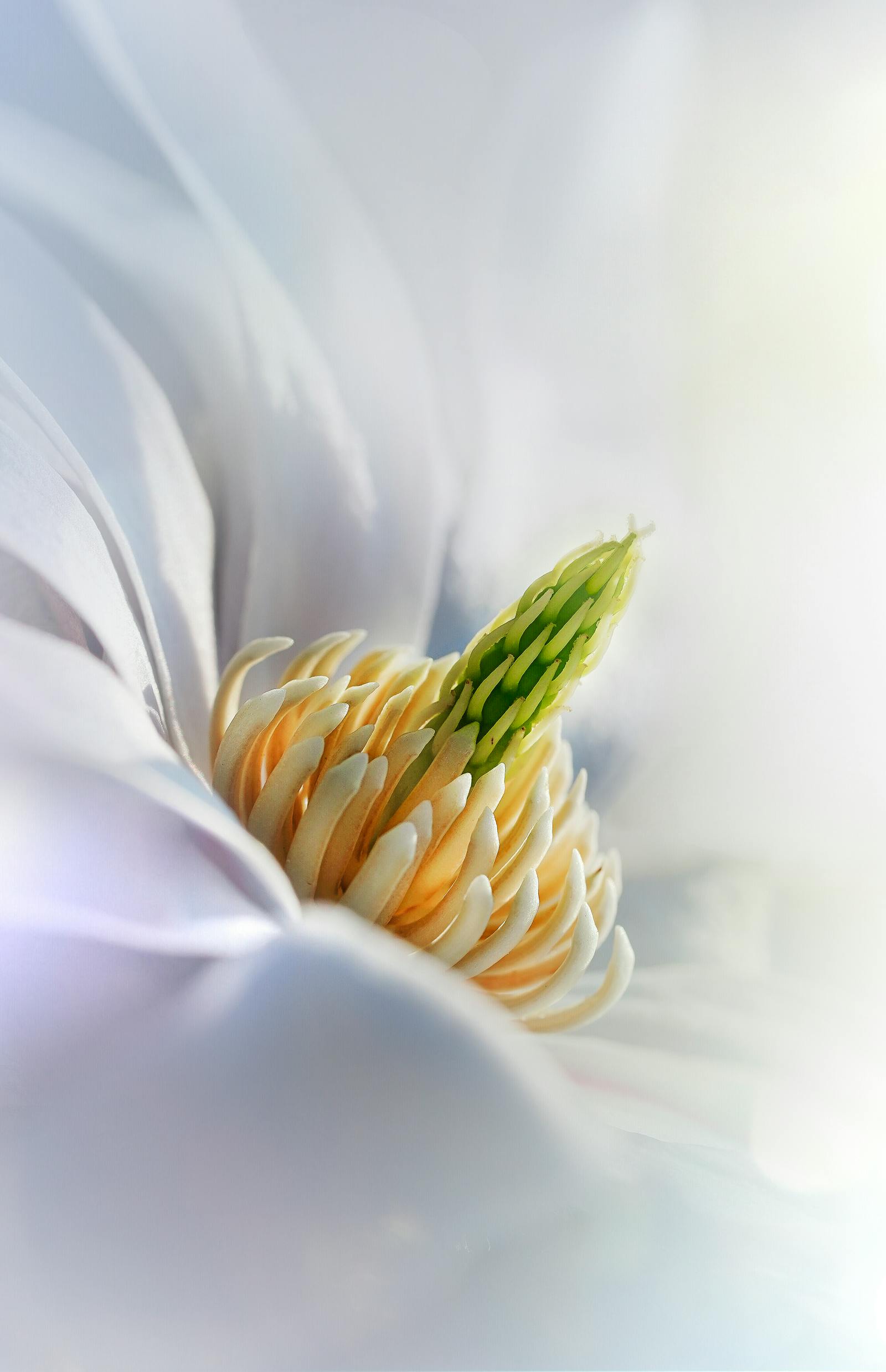 Micro+Bikinis+Gifs Photos, Download The BEST Free Micro+Bikinis+Gifs ...