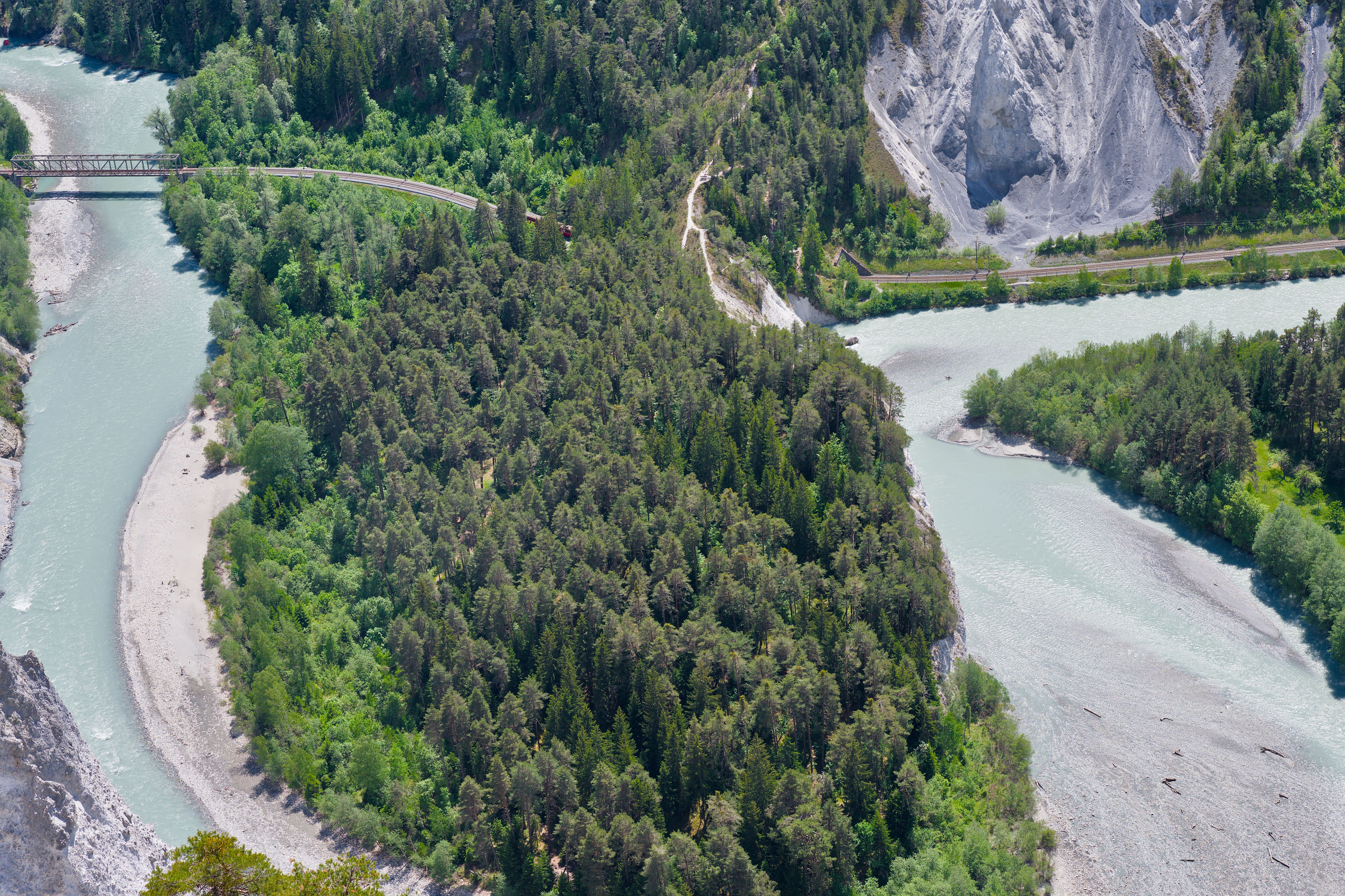Forest With River Photos, Download The BEST Free Forest With River ...