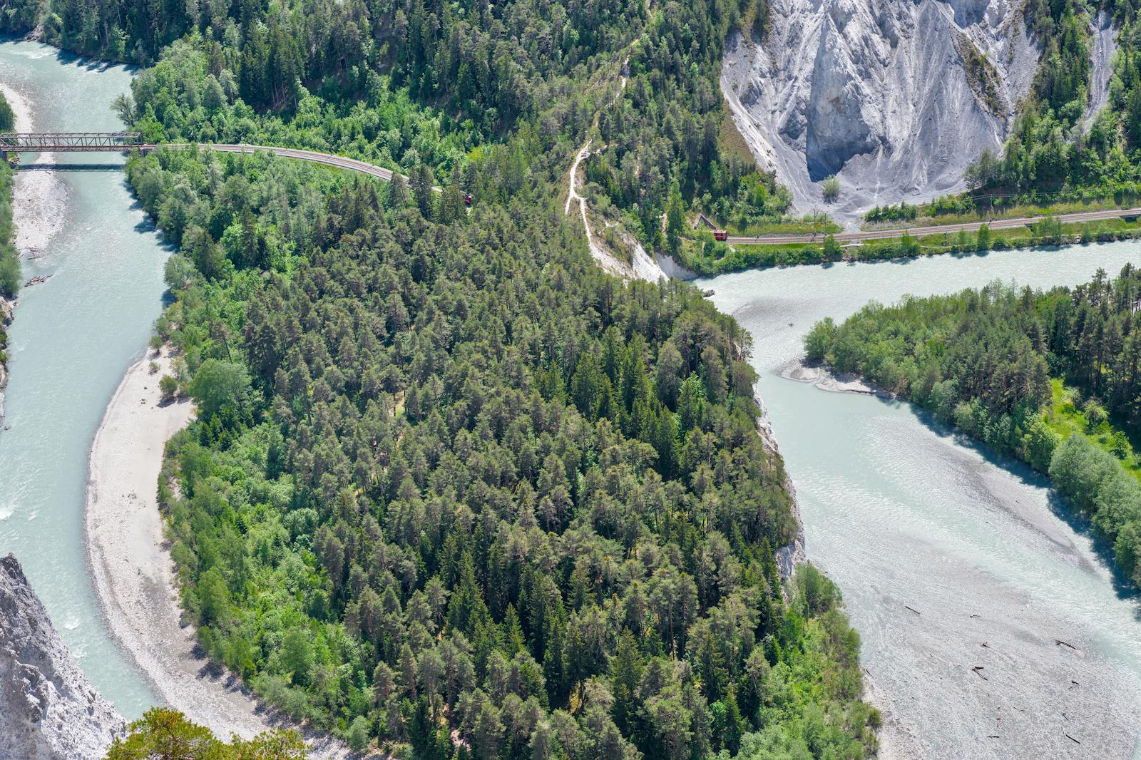 Forest View Photos, Download The BEST Free Forest View Stock Photos ...