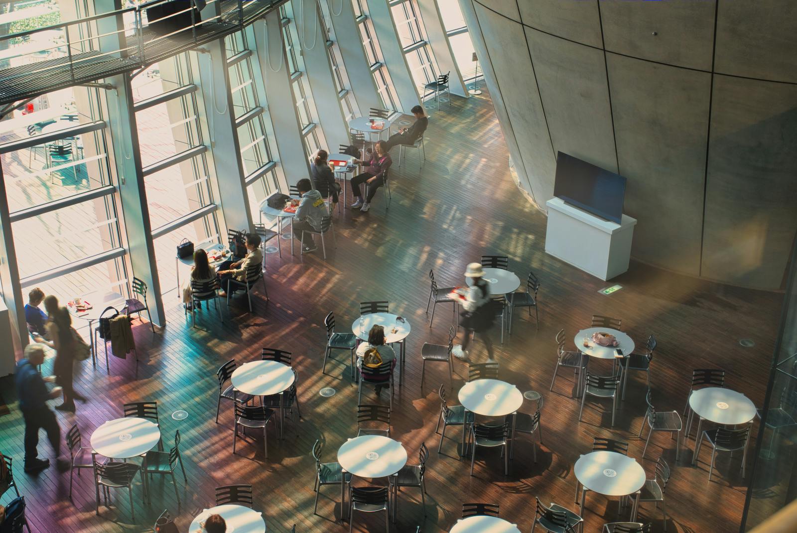 Humans Photos, Download The BEST Free Humans Stock Photos & HD Images