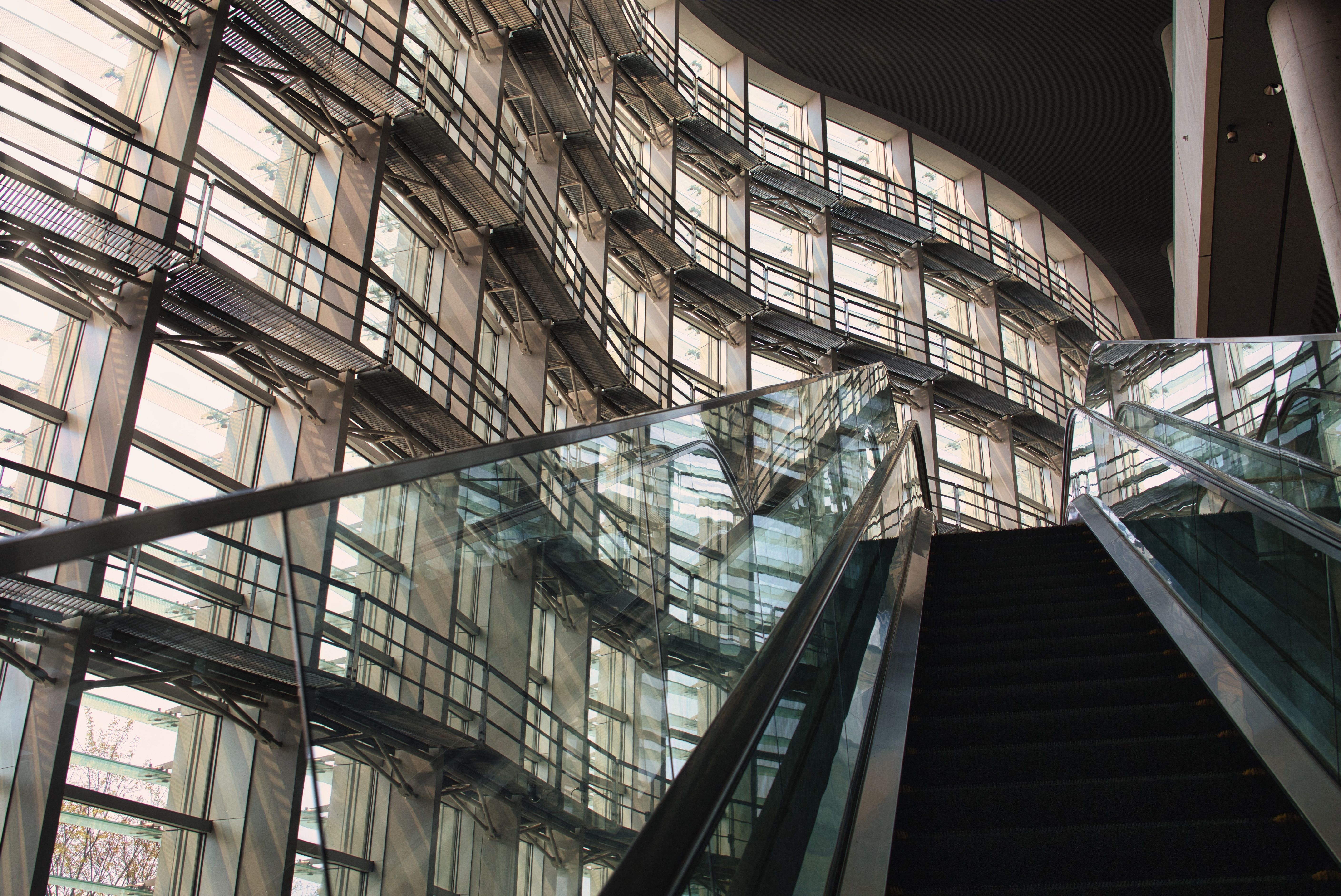 Green Plants Inside Building · Free Stock Photo