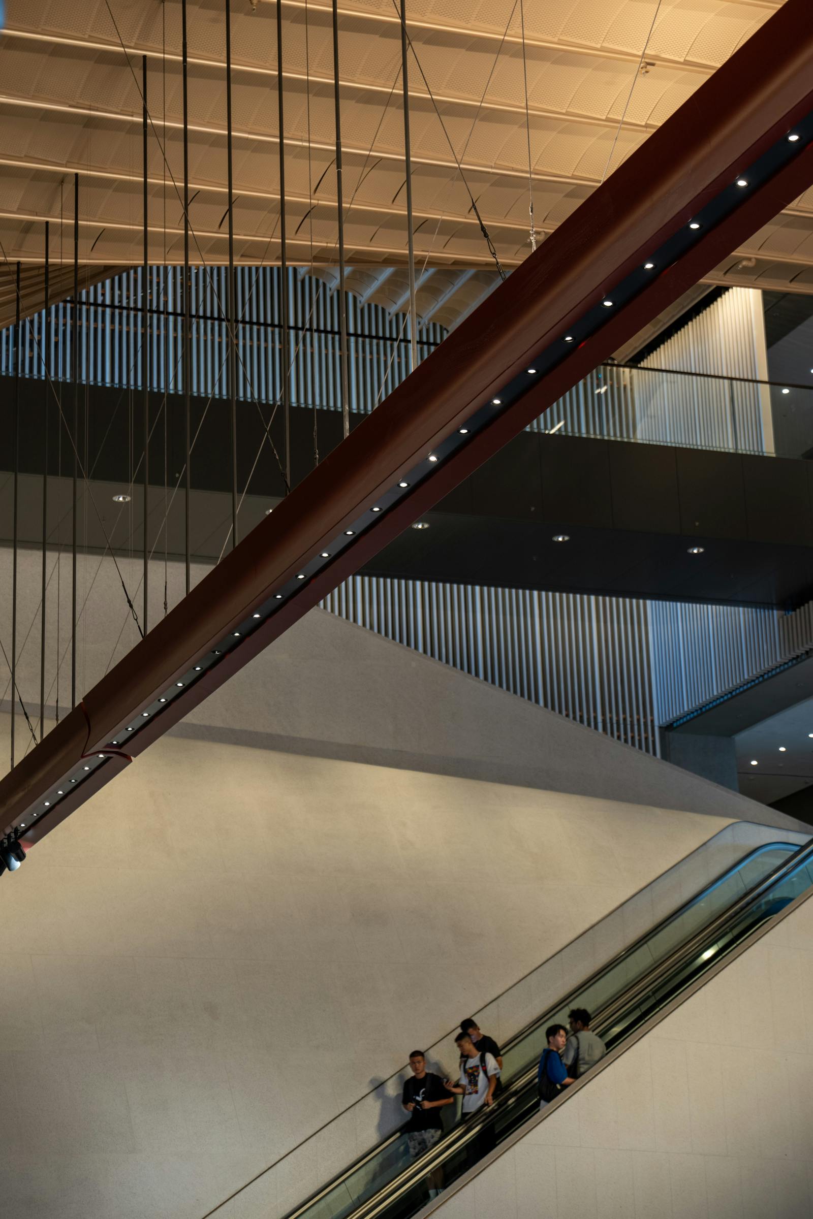 Human Poop Photos, Download The BEST Free Human Poop Stock Photos & HD ...