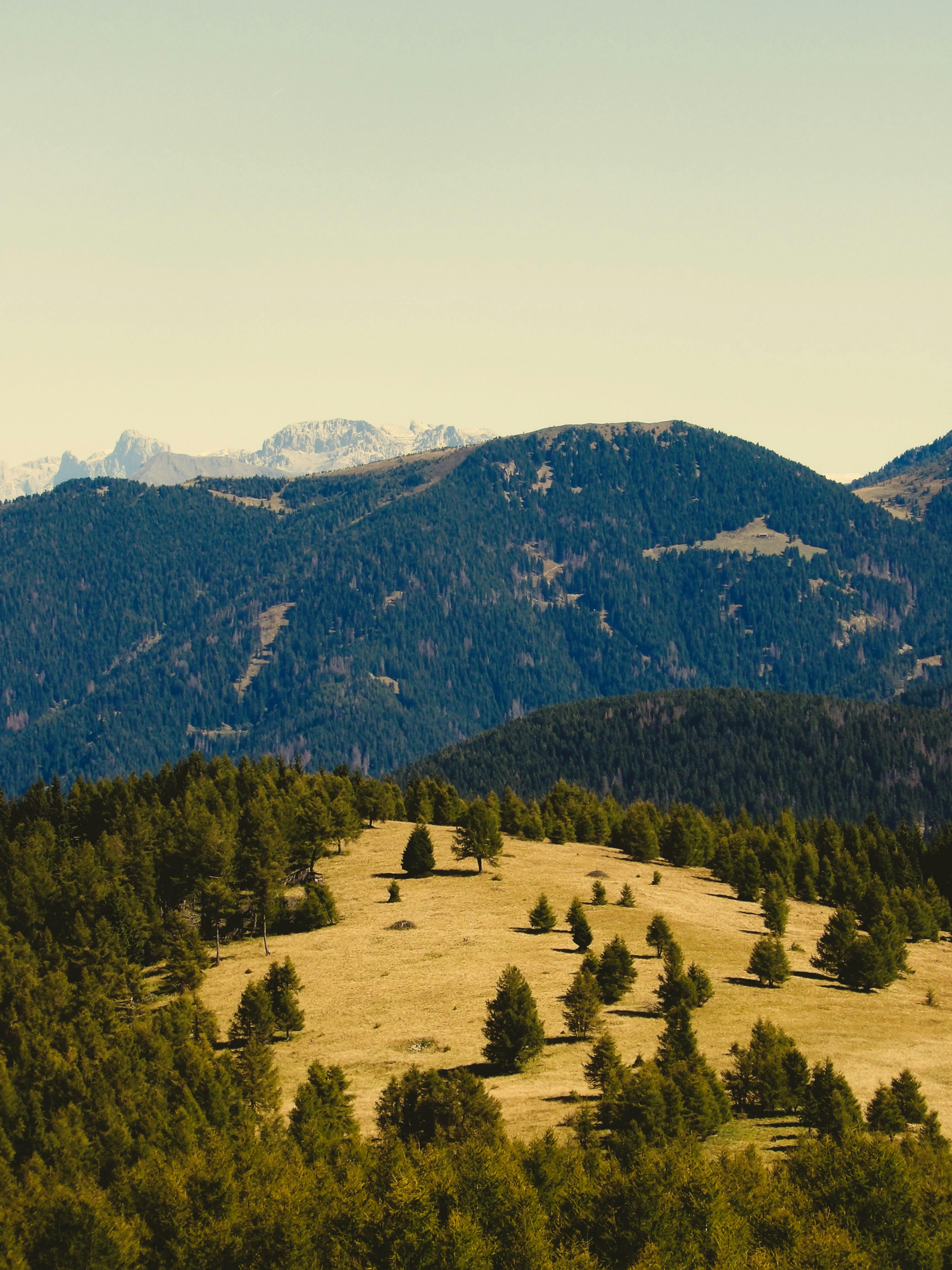 Wallpaper+Freepik Photos, Download The BEST Free Wallpaper+Freepik ...