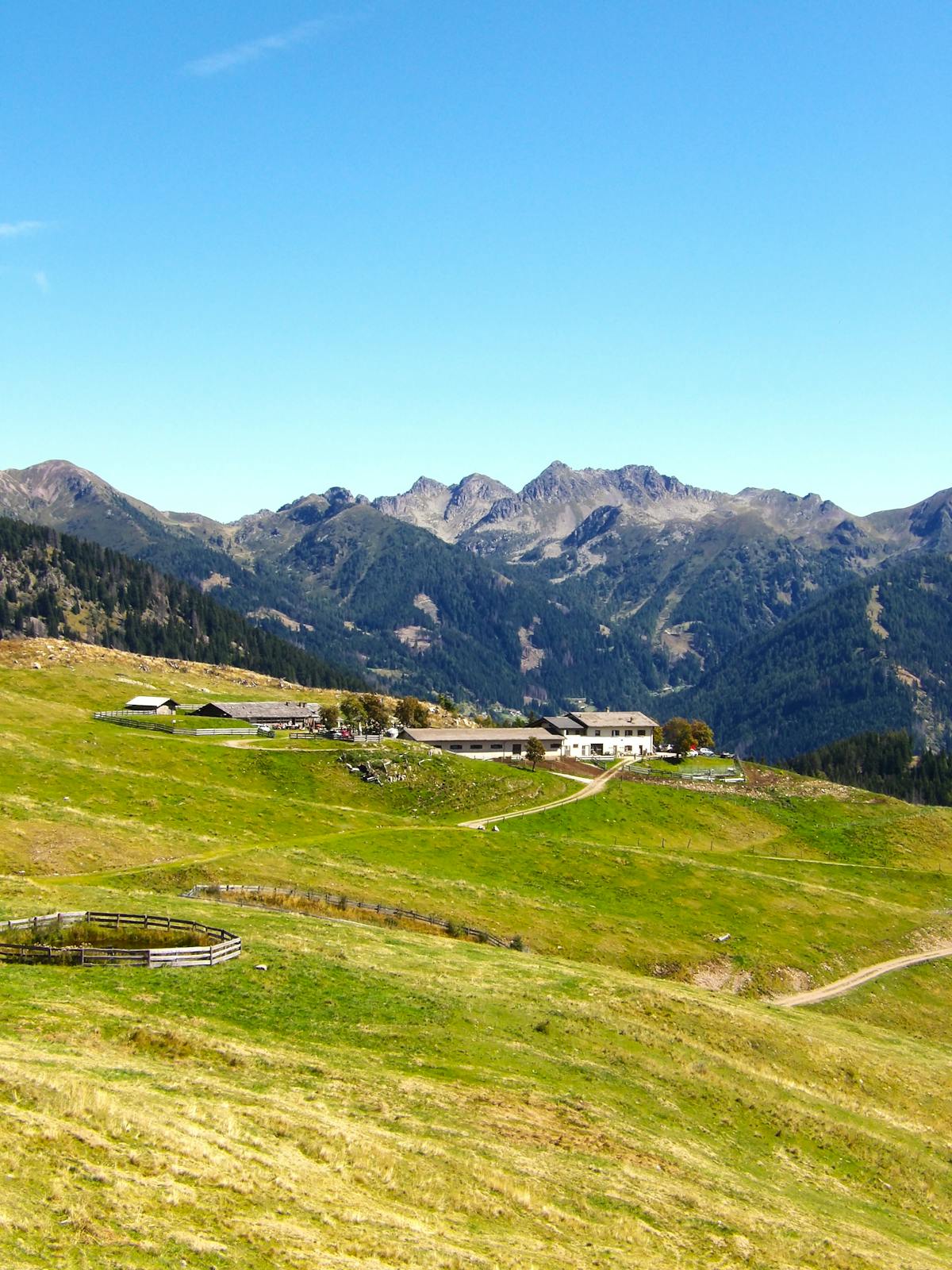 Phasmophobia+Wallpaper Photos, Download The BEST Free Phasmophobia ...