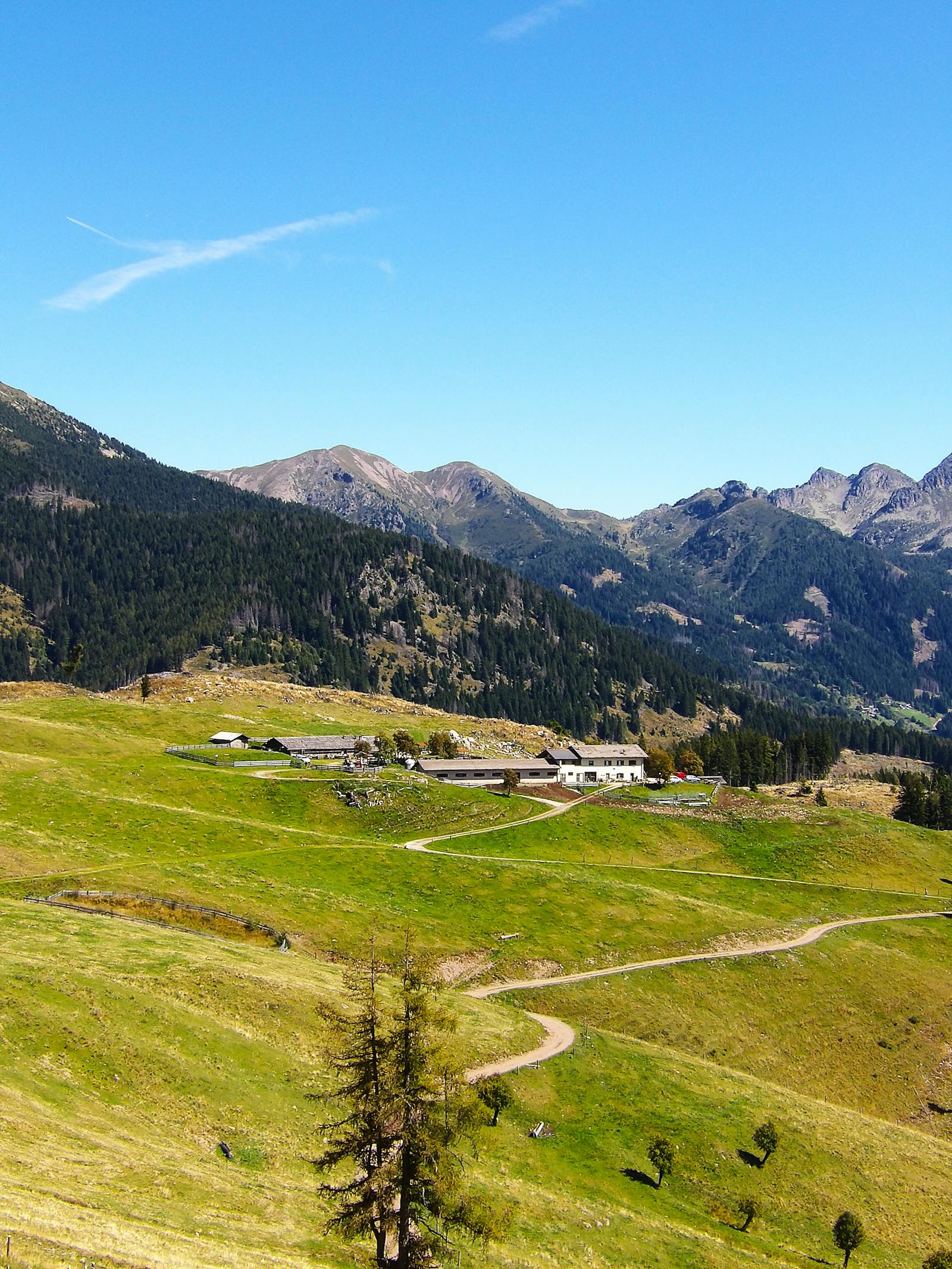 Wallpaper+Freepik Photos, Download The BEST Free Wallpaper+Freepik ...