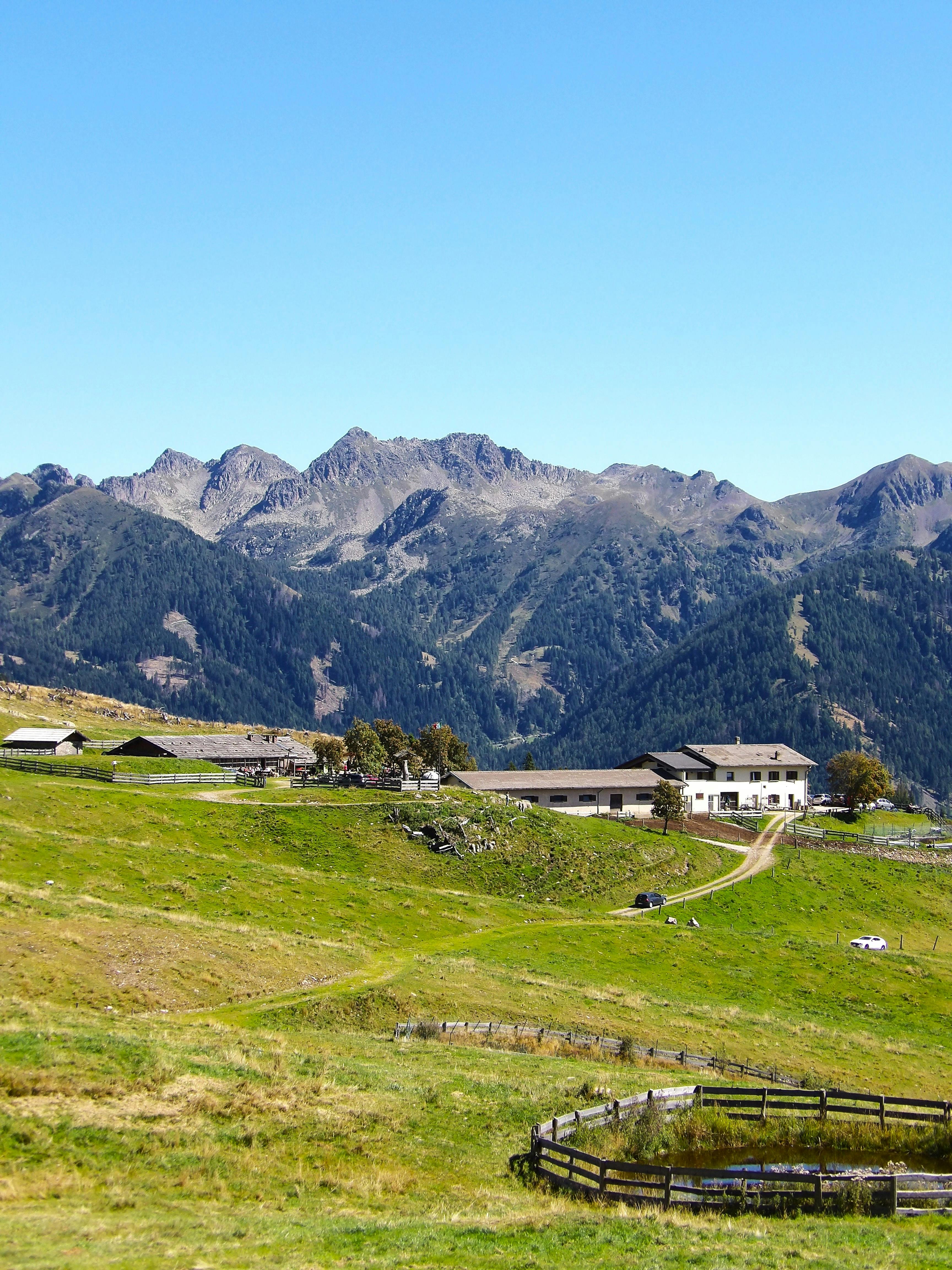 Grafolio+Wallpaper Photos, Download The BEST Free Grafolio+Wallpaper ...