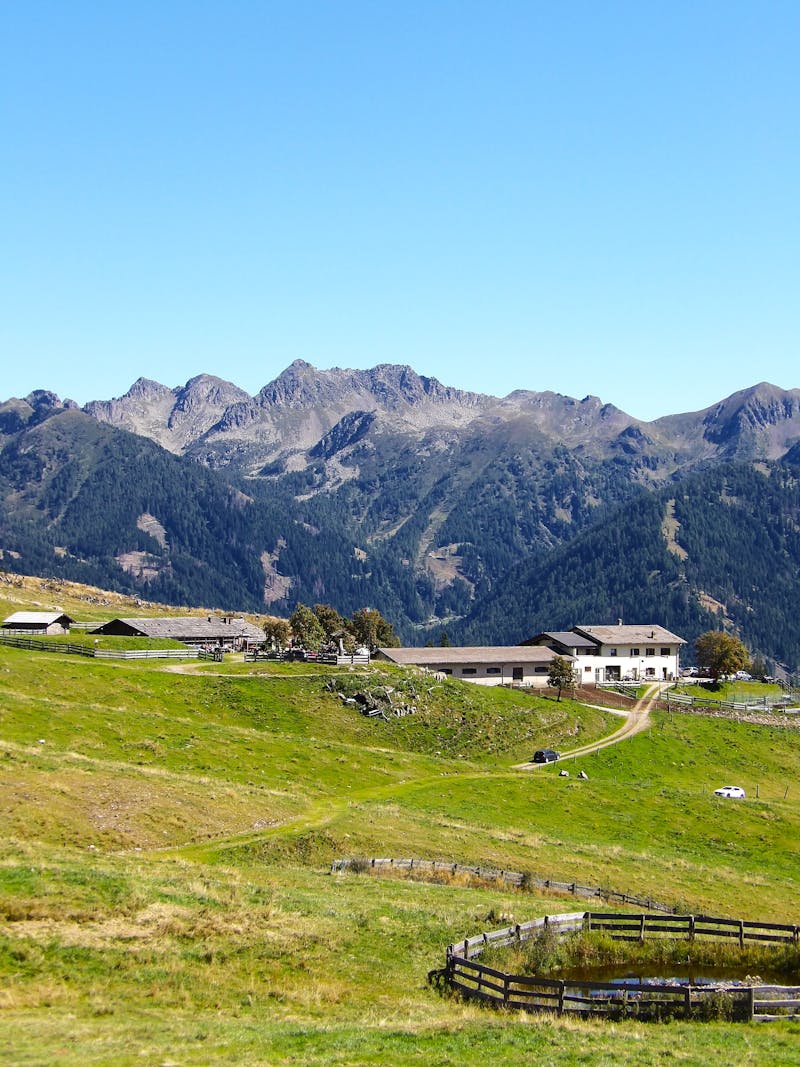 Wallpaper+Freepik Photos, Download The BEST Free Wallpaper+Freepik Stock Photos & HD Images