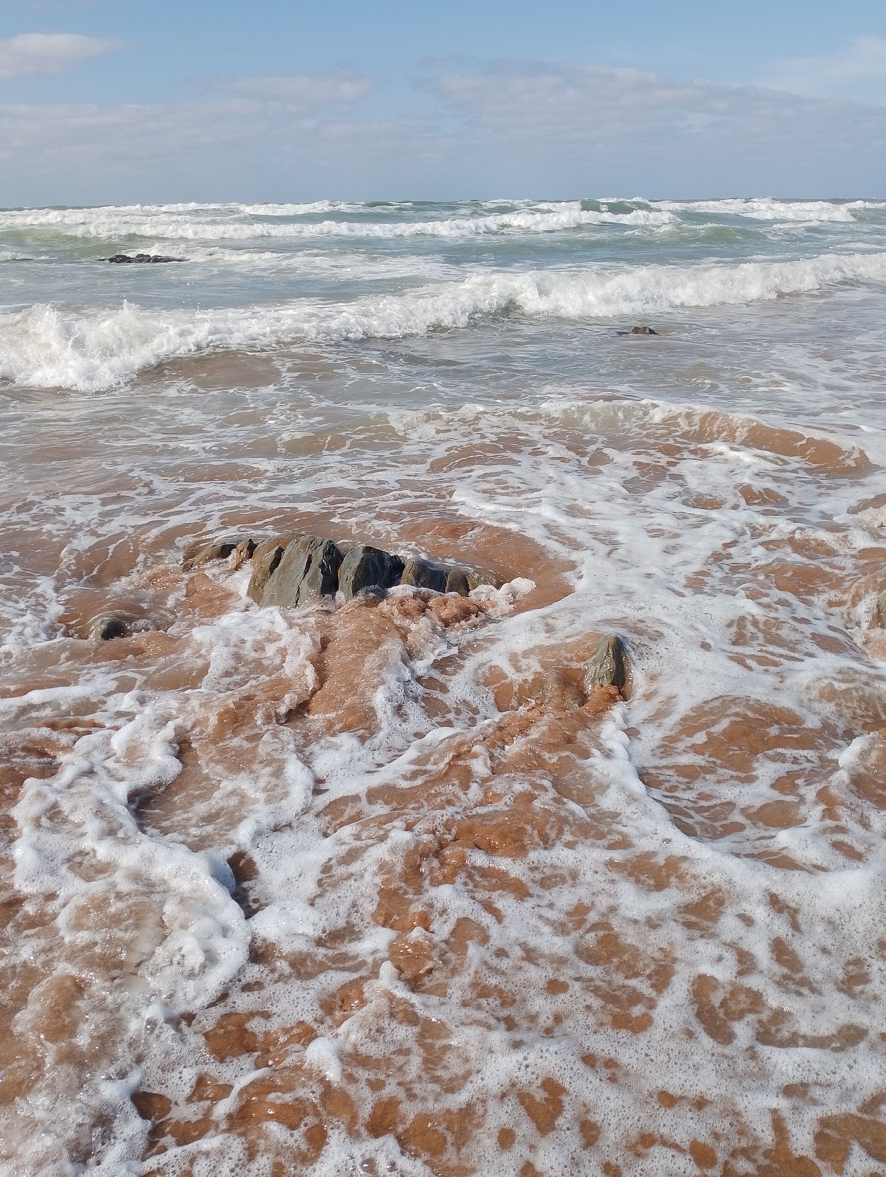 Beach Gifs Photos, Download The BEST Free Beach Gifs Stock Photos & HD ...