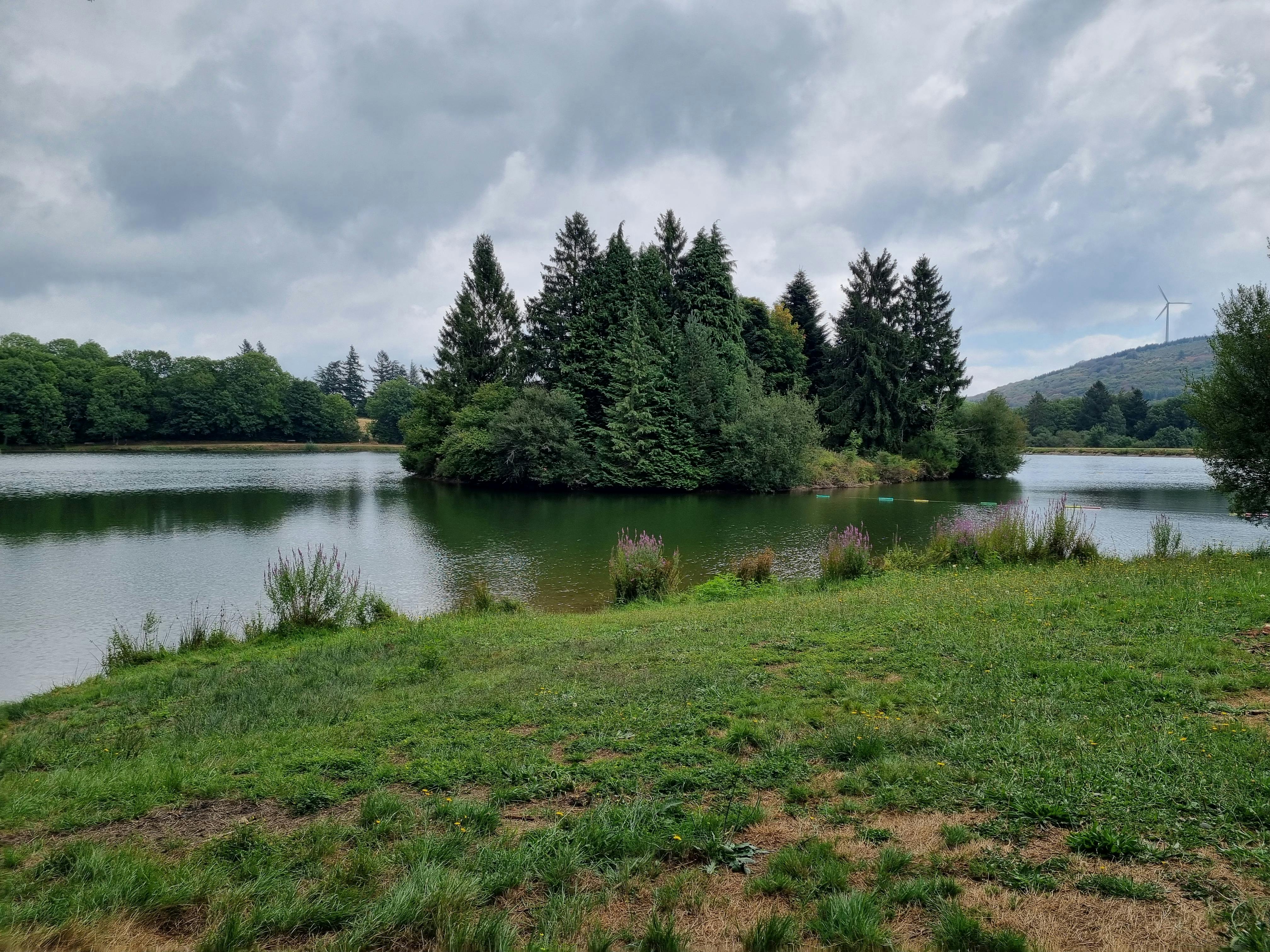 Green Environment Photos, Download The BEST Free Green Environment ...