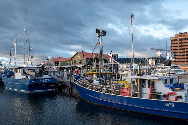 Port+At+Sunrise Photos, Download The BEST Free Port+At+Sunrise Stock ...