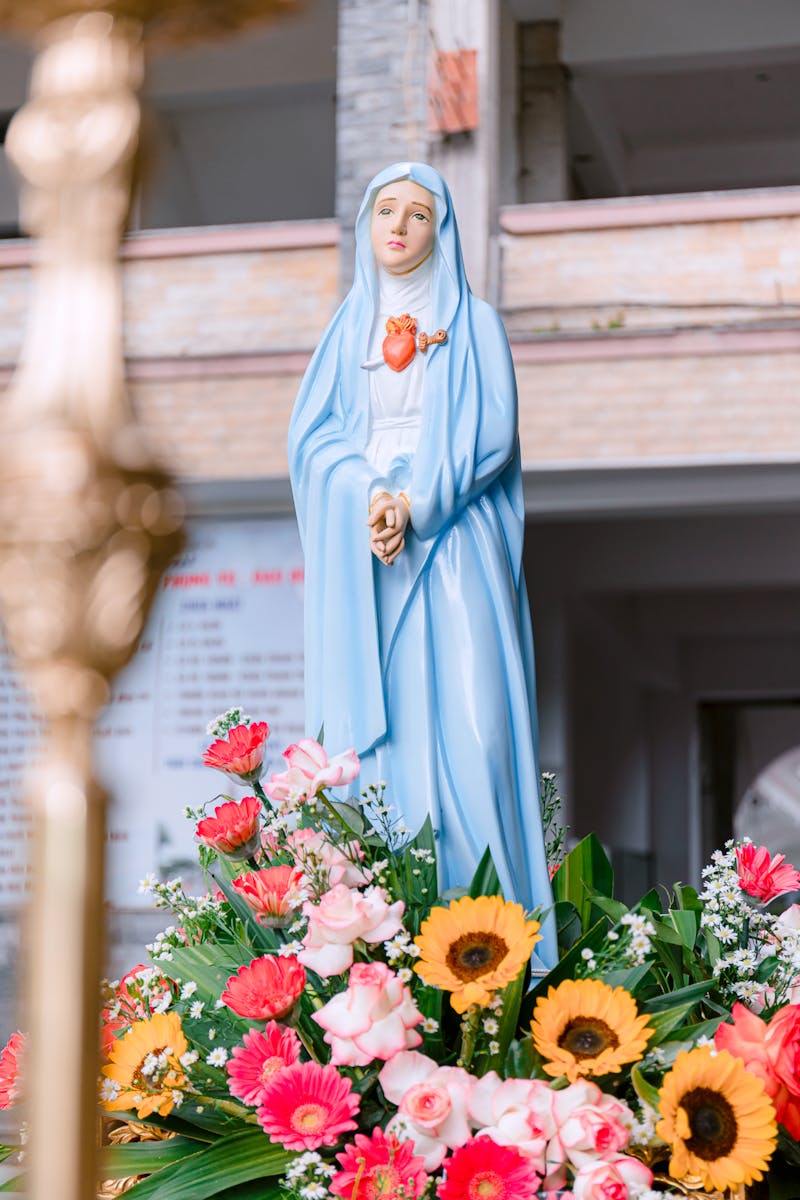 Blessed Photos, Download The BEST Free Blessed Stock Photos & HD Images