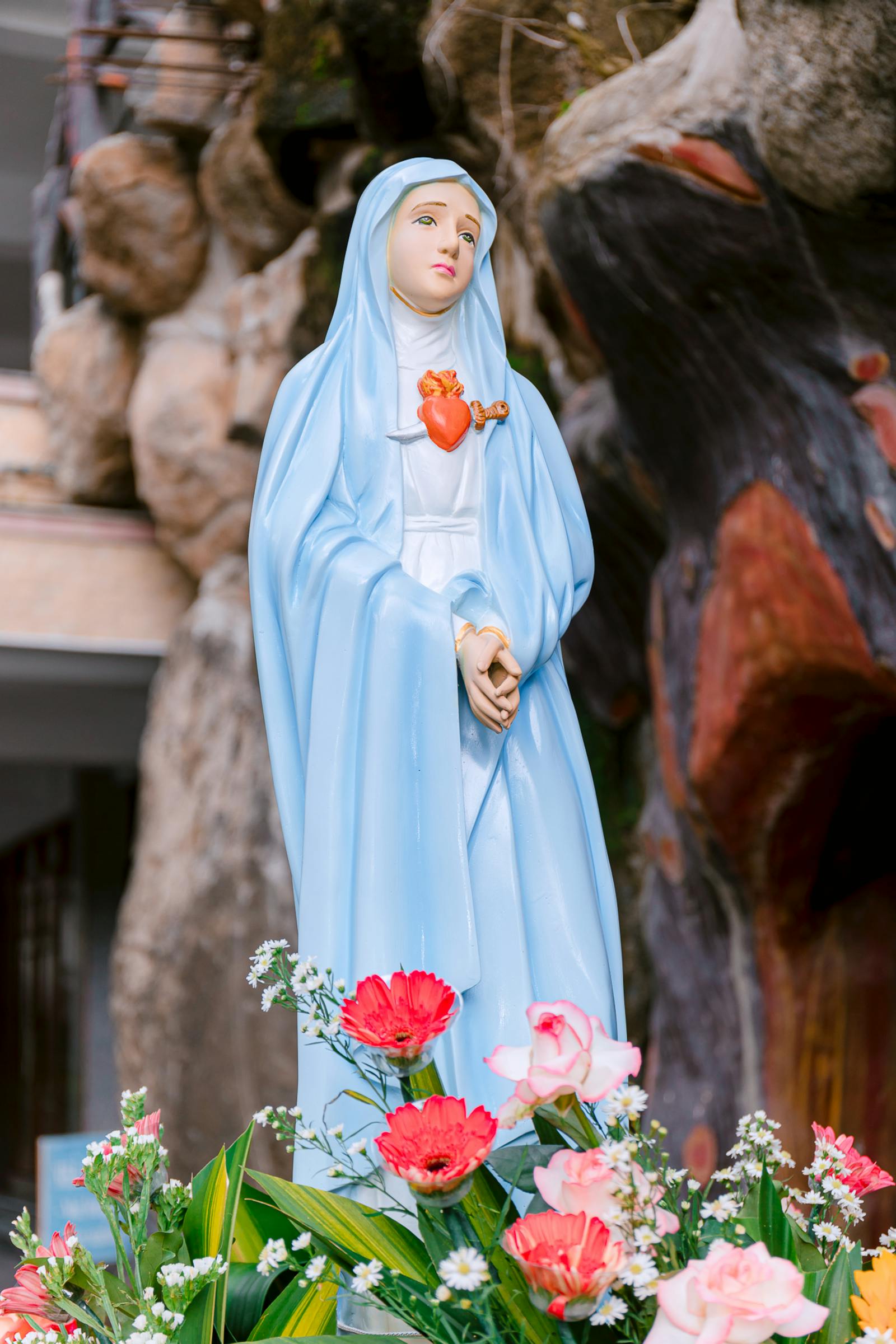 Blessed Photos, Download The BEST Free Blessed Stock Photos & HD Images